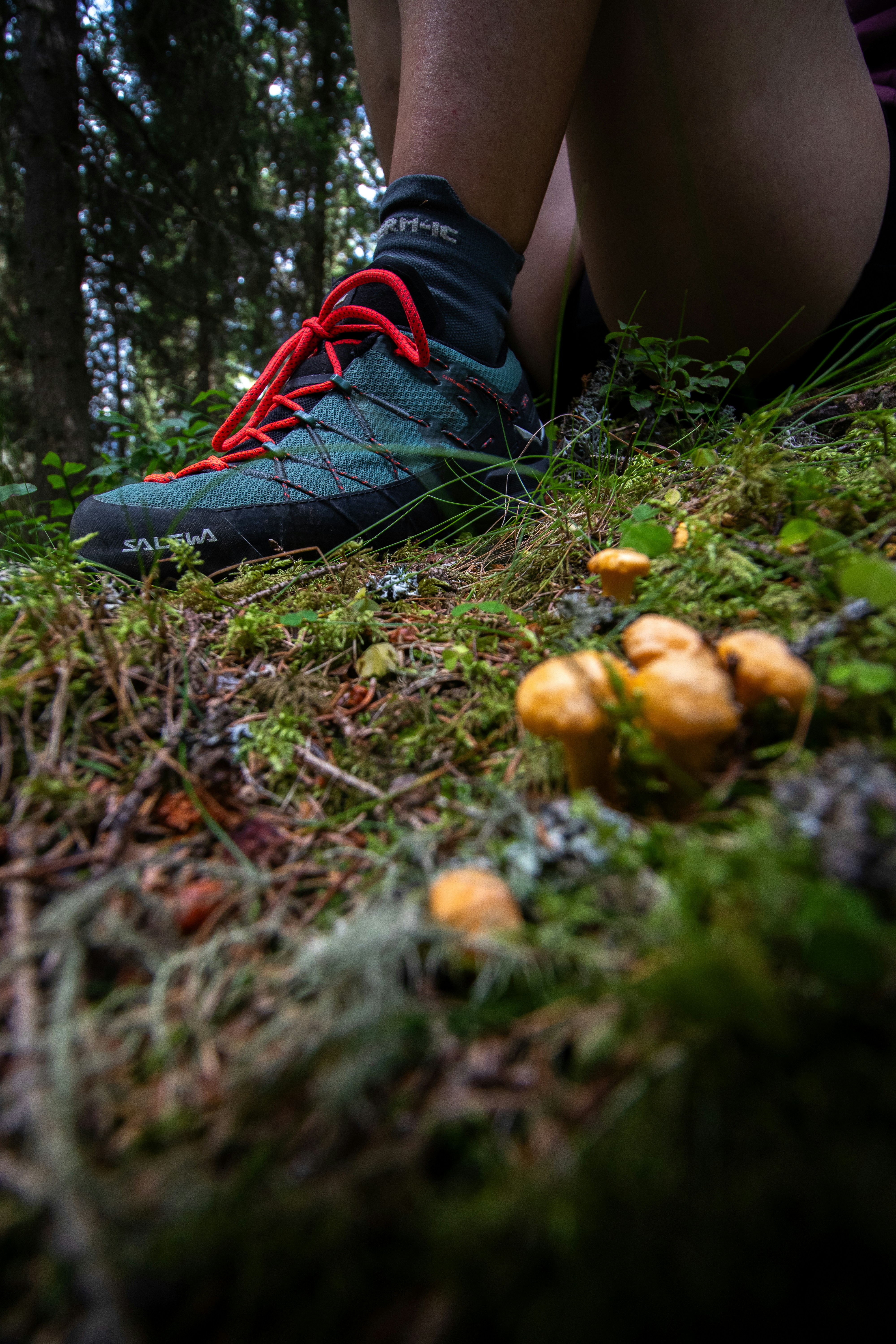 Red-Laced Trail Shoe on a Mossy Verge with Amber Mushrooms