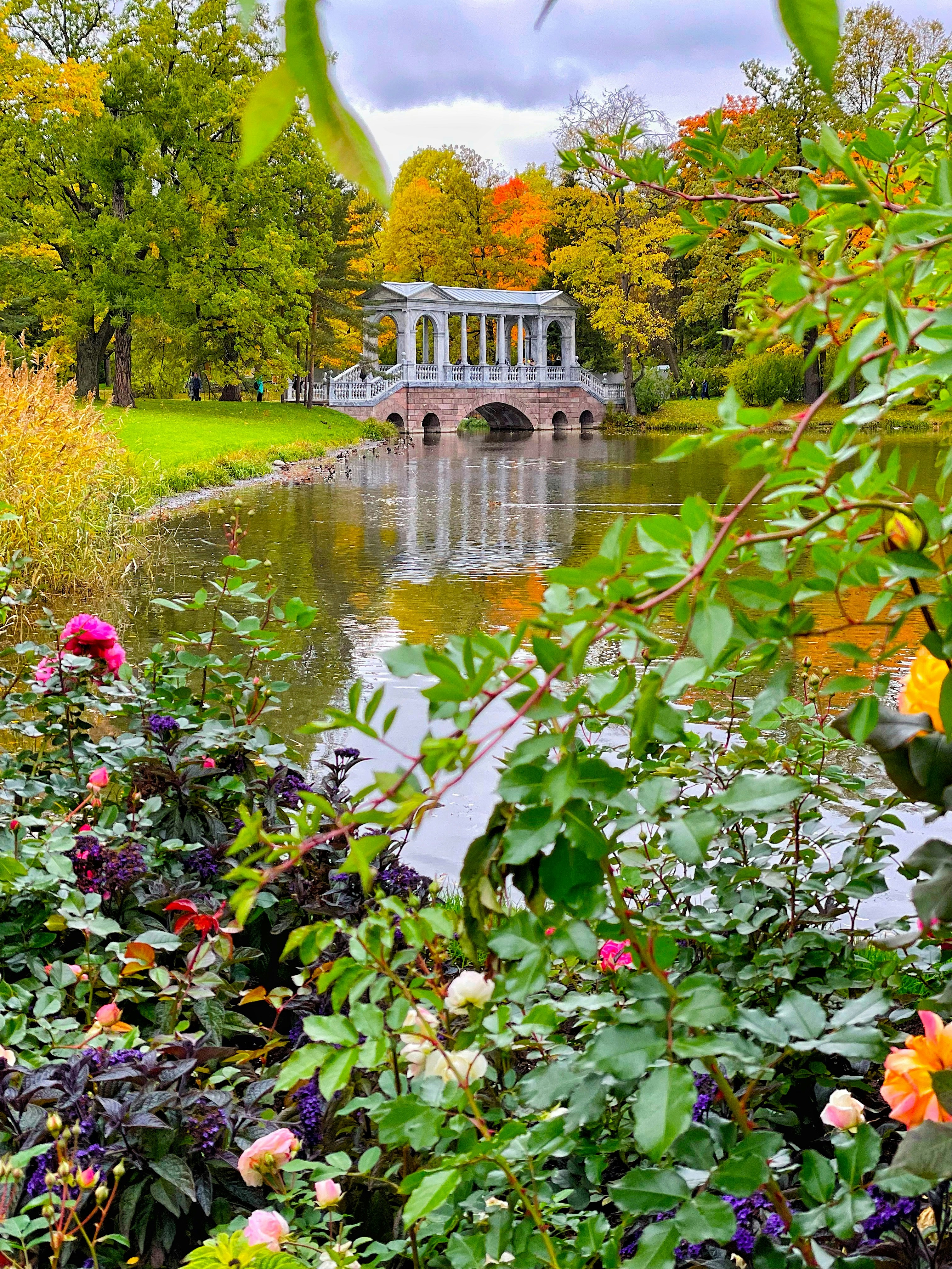 A bridge over a river surrounded by lots of flowers photo – Free ...