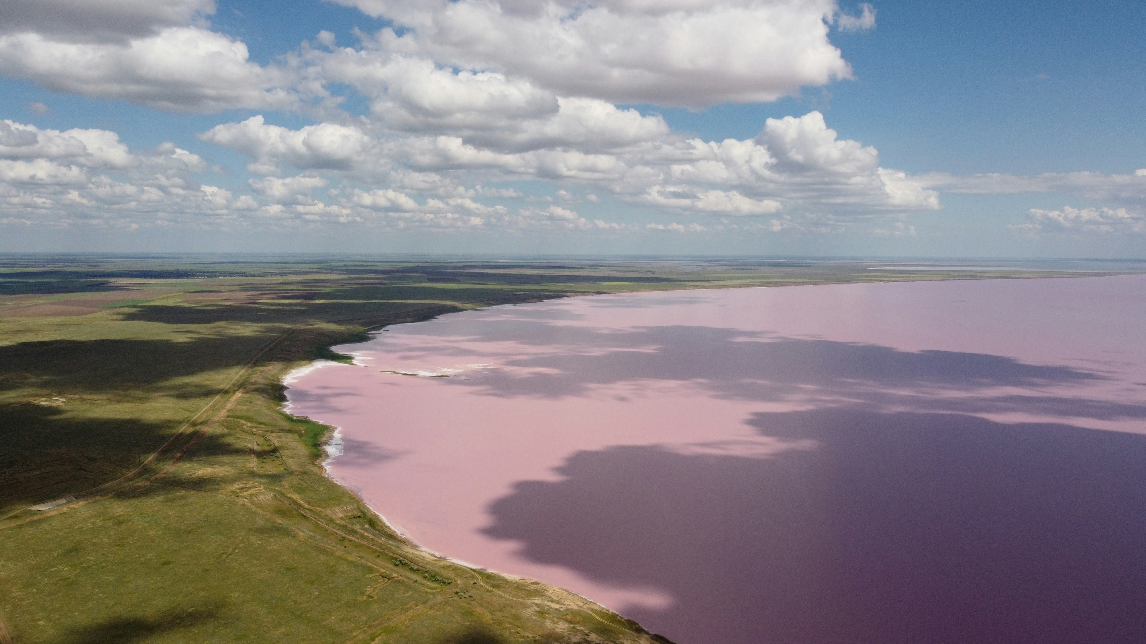 Vast pink lake bordered by lush green landscape under a sky dotted with fluffy white clouds.