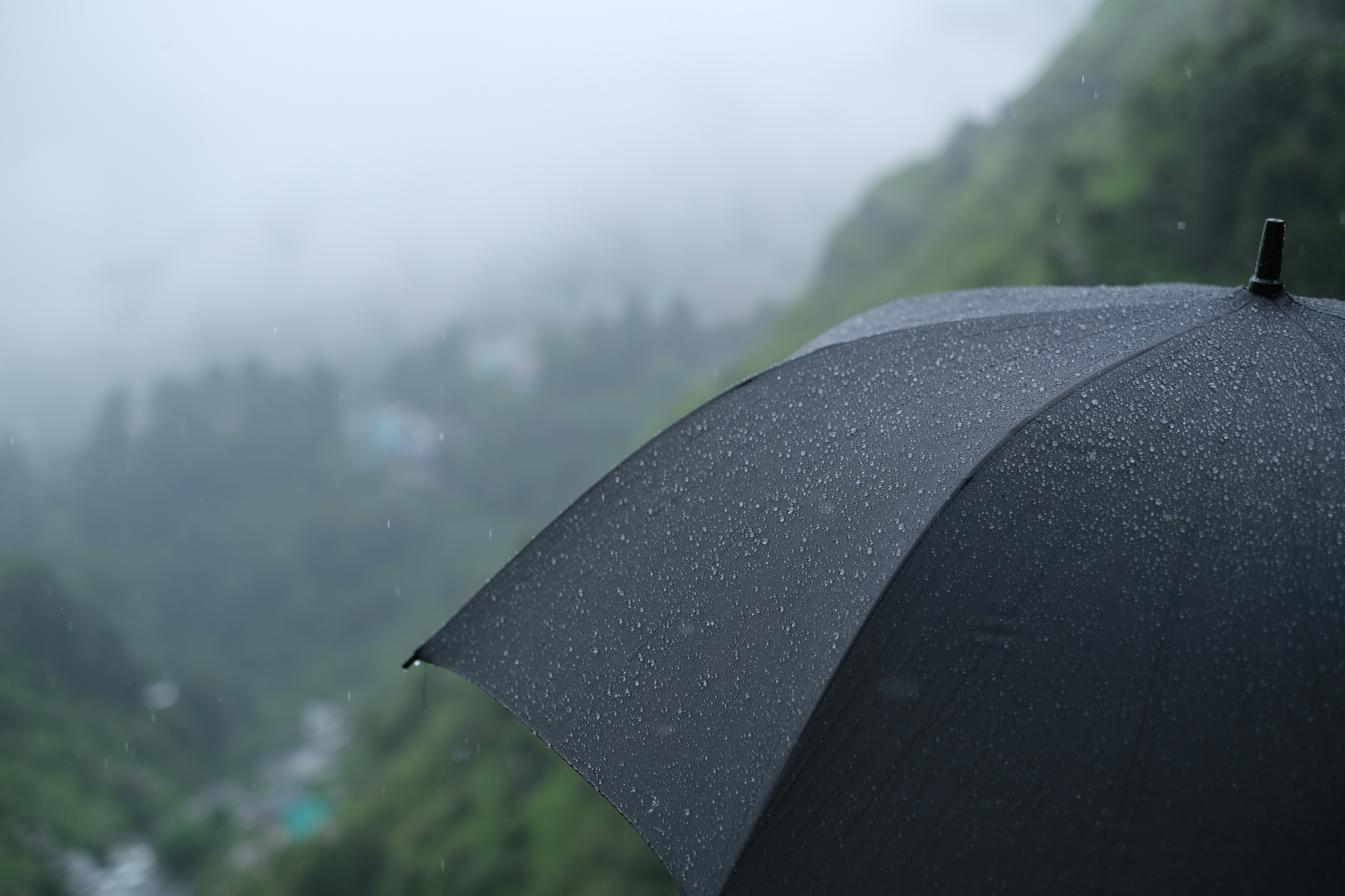 Rain-Kissed Umbrella Framing a Misty Valley
