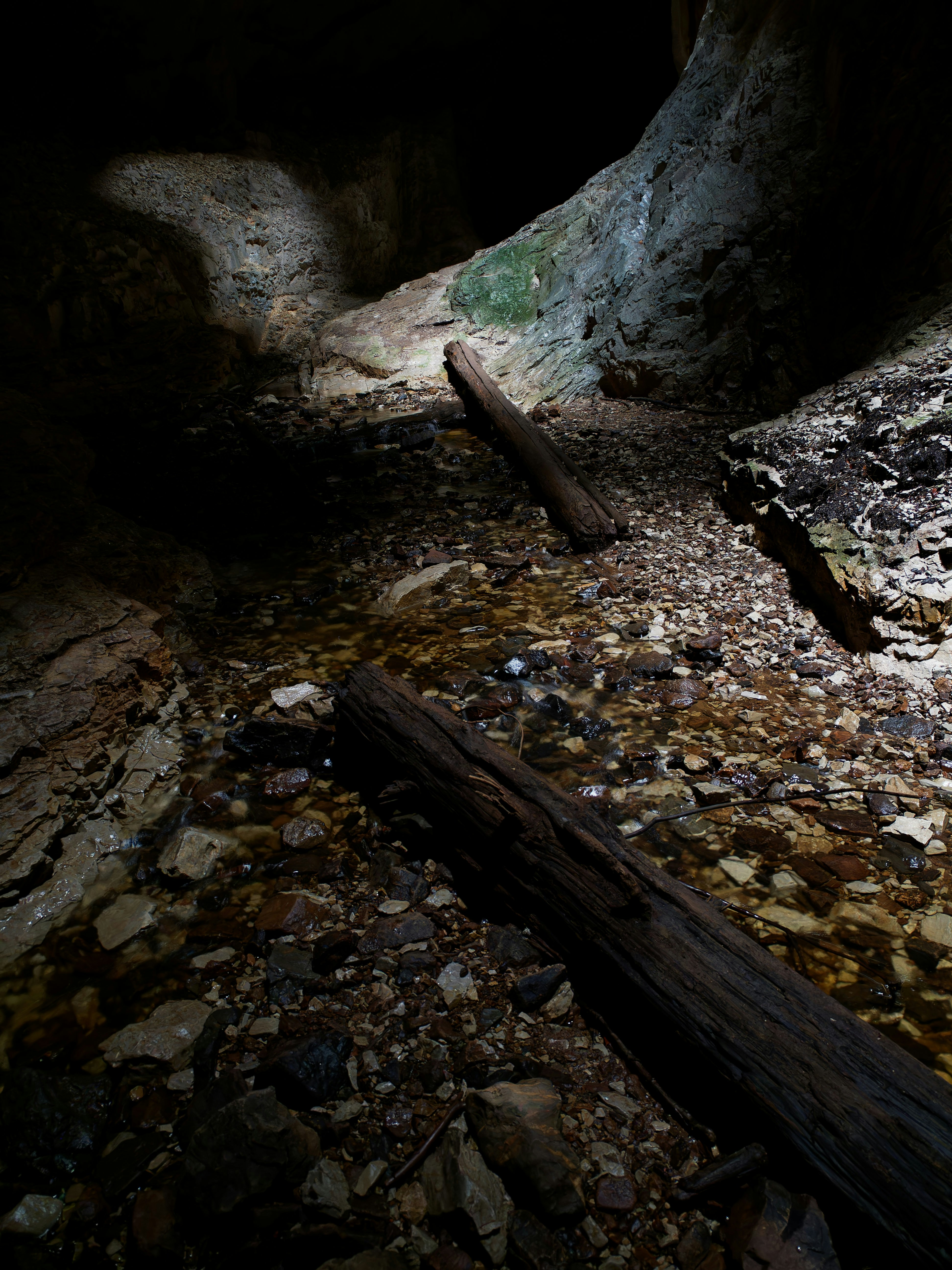 A fallen tree laying on the ground in a cave photo – Free Peștera ...