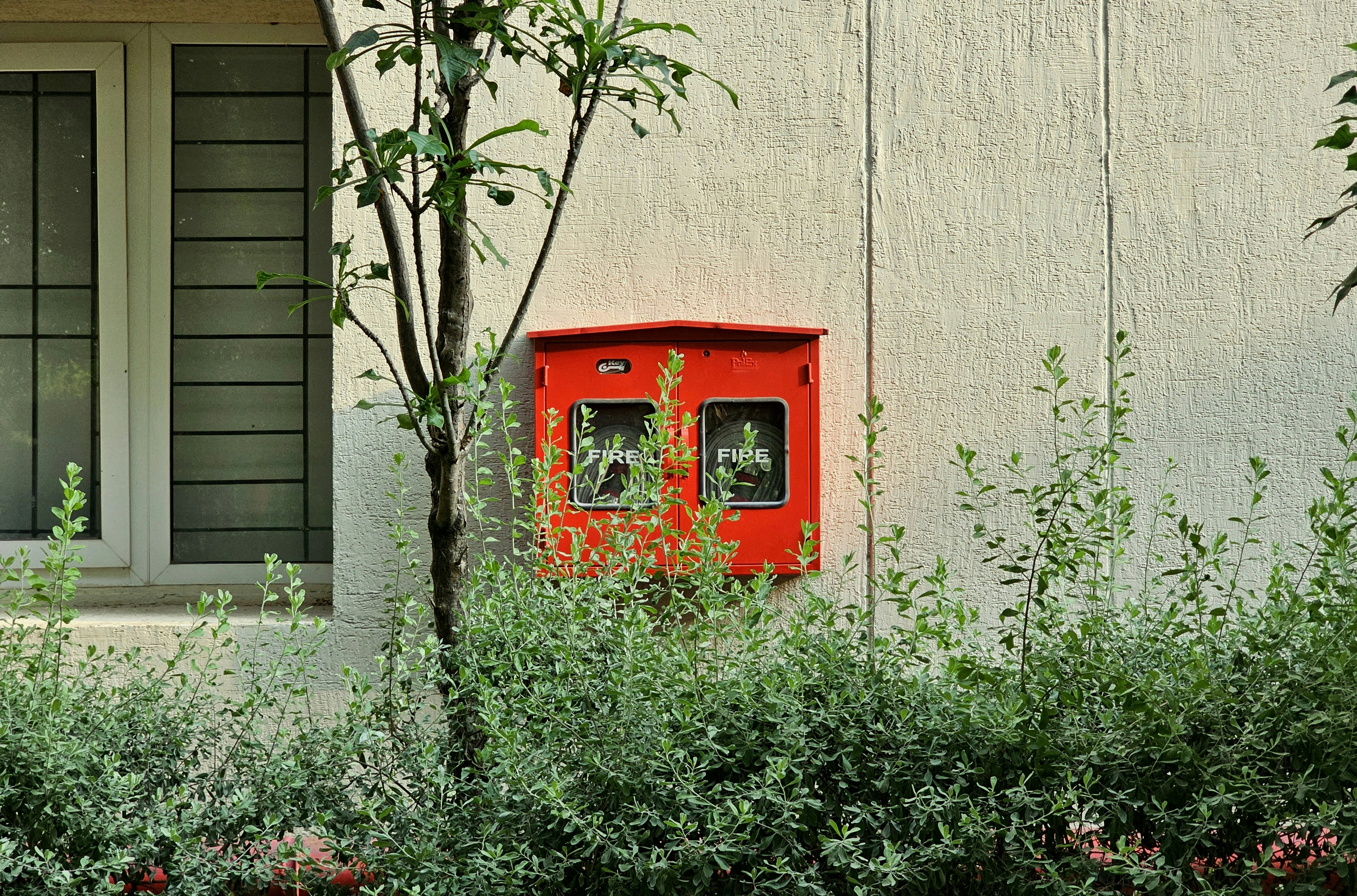 Crimson Fire Cabinet on a Pale Wall, Surrounded by Quiet Greenery
