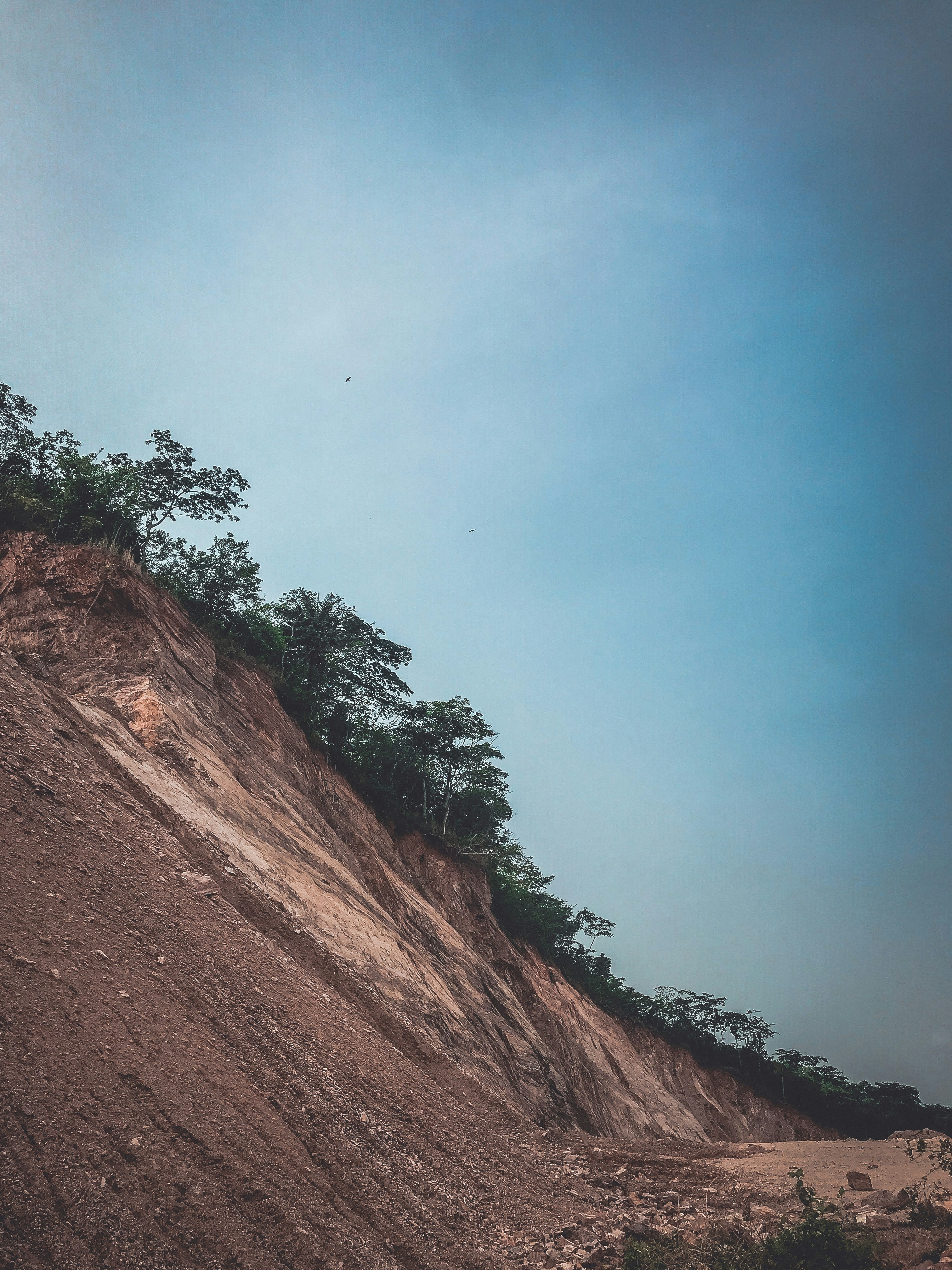 Azure Sky Over Eroded Cliffline with Gnarled Trees