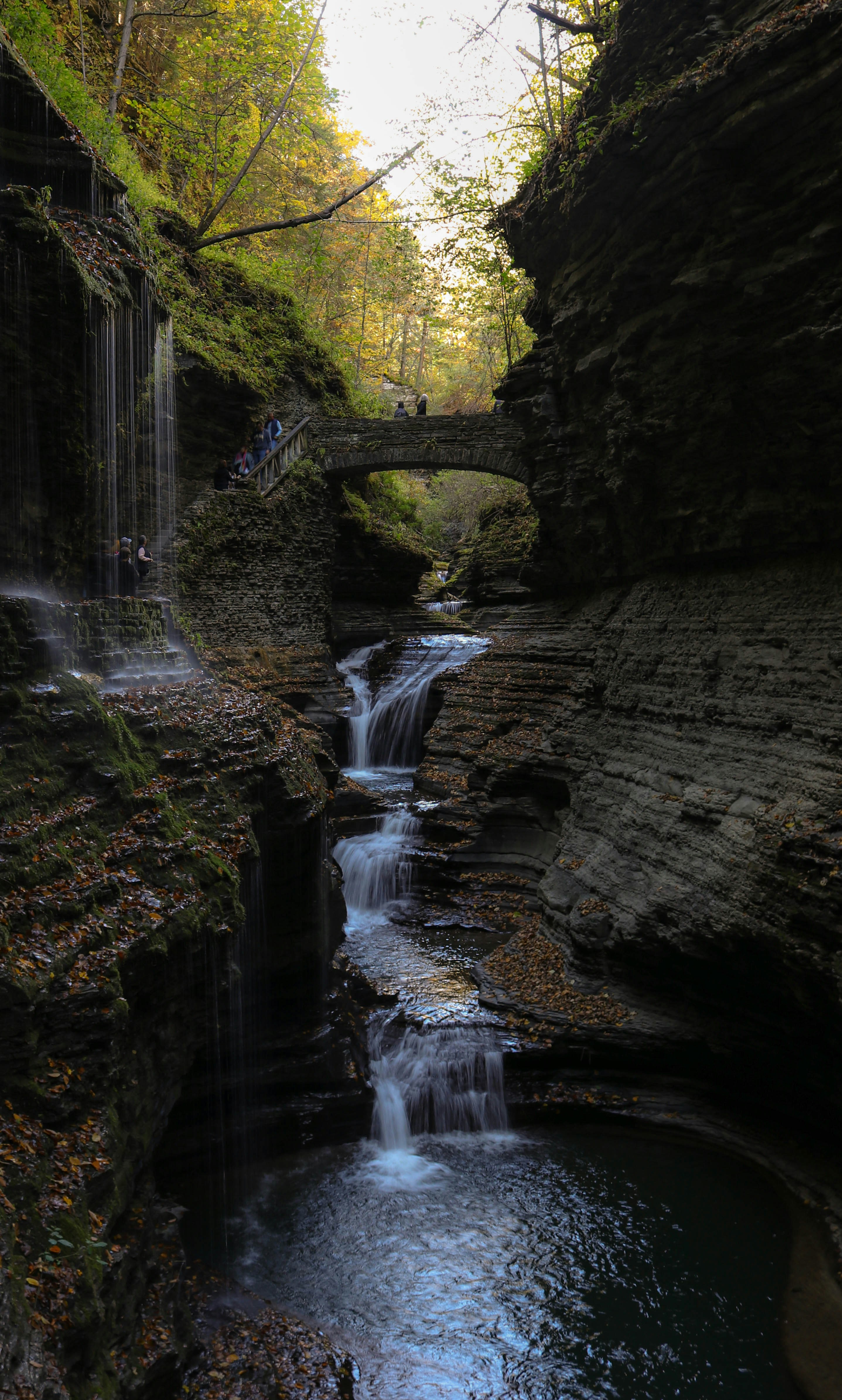 A small waterfall in the middle of a forest photo – Free Watkins glen ...