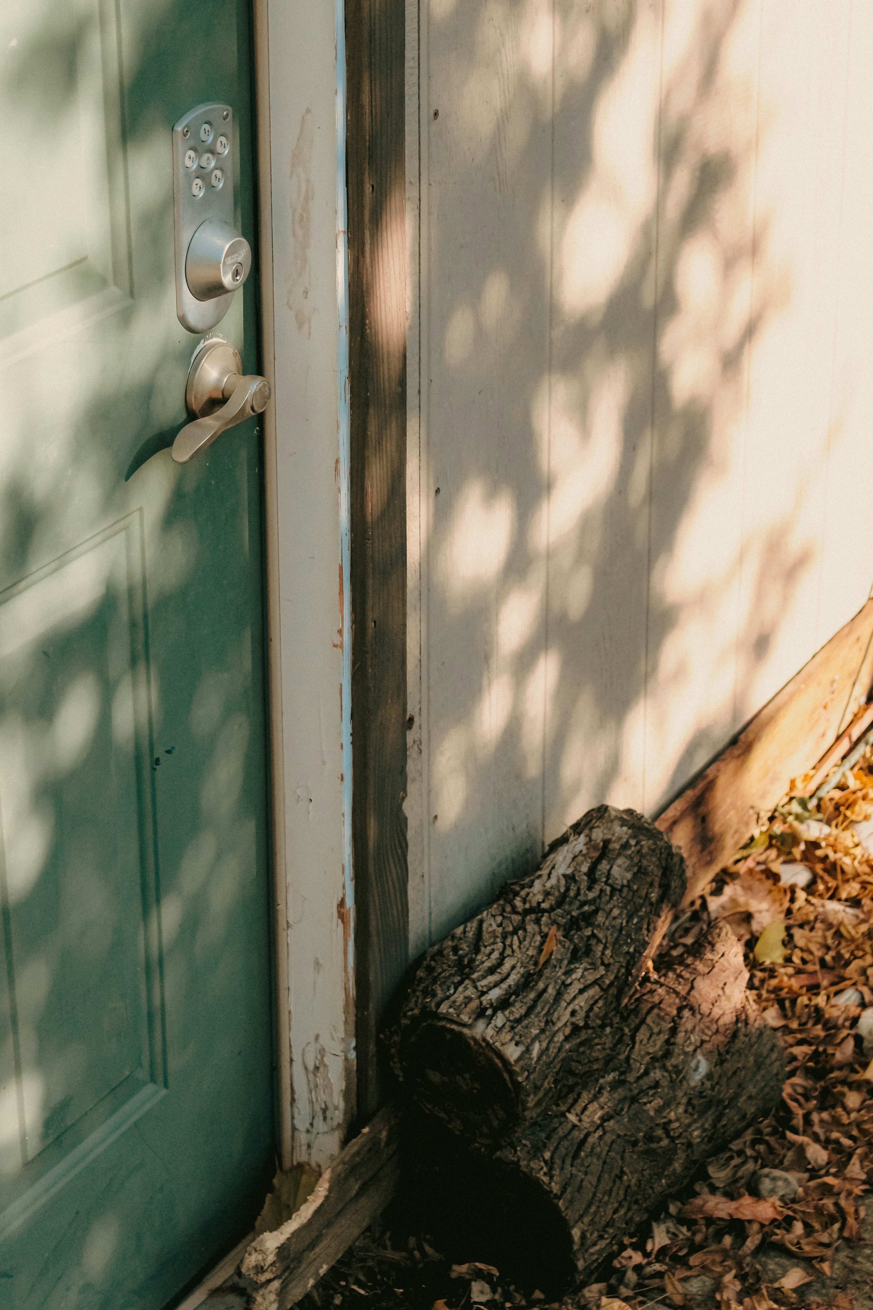A green door and a tree stump in front of it photo – Free Grey Image on ...