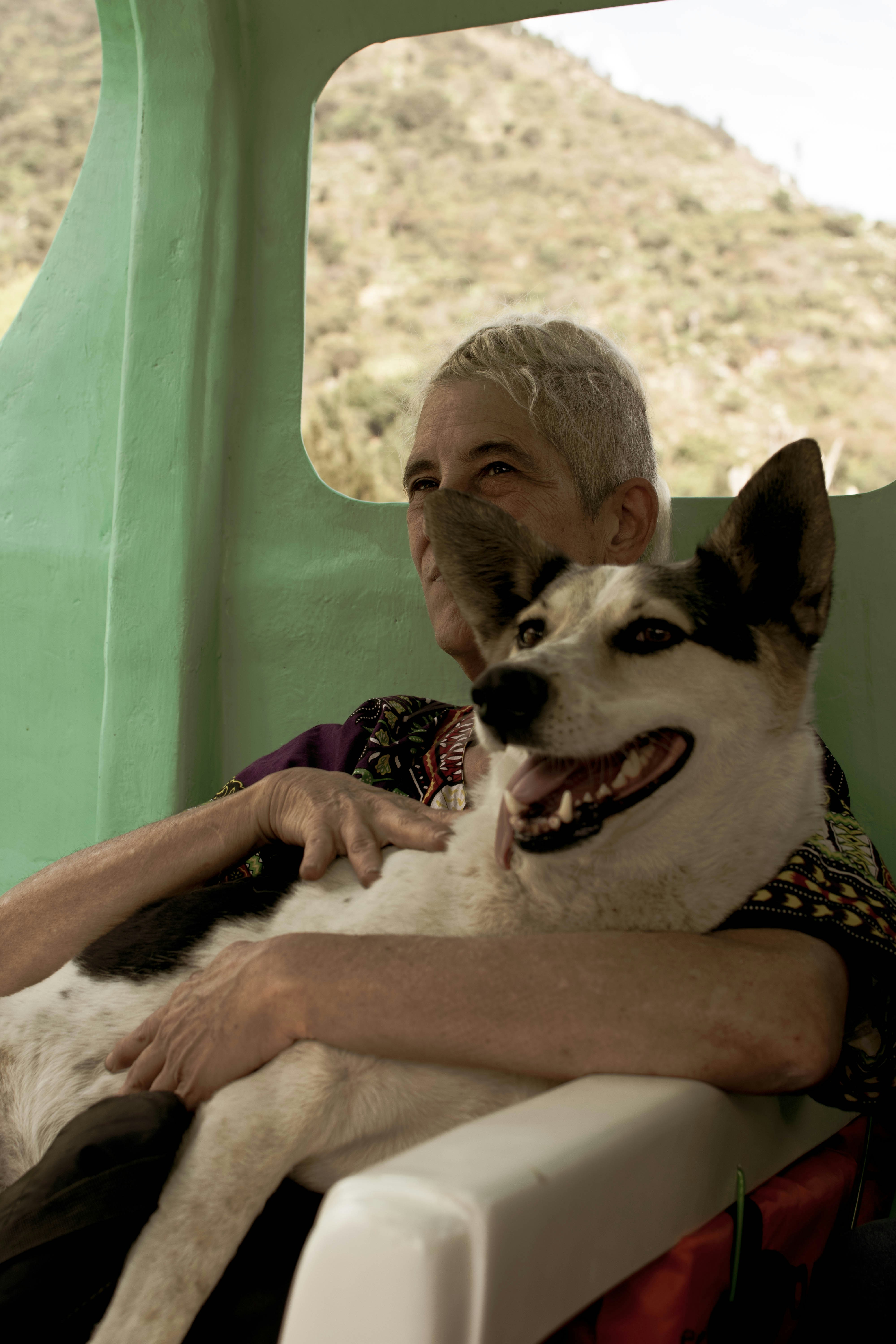 Warm Comfort on a Sunny Ride: Elderly Rider and Beloved Dog