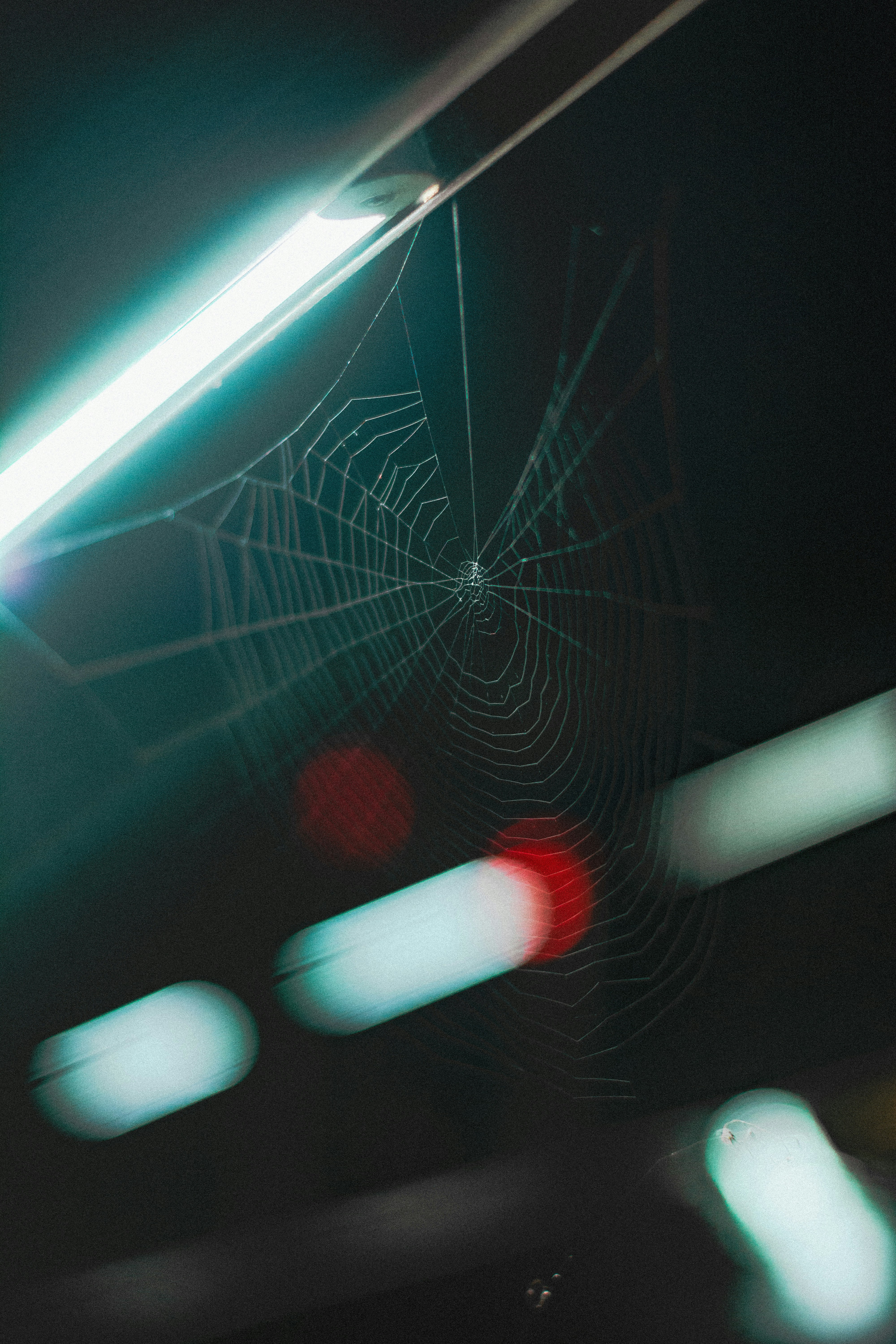 Neon Lattice: a spider web in a dim, urban glow