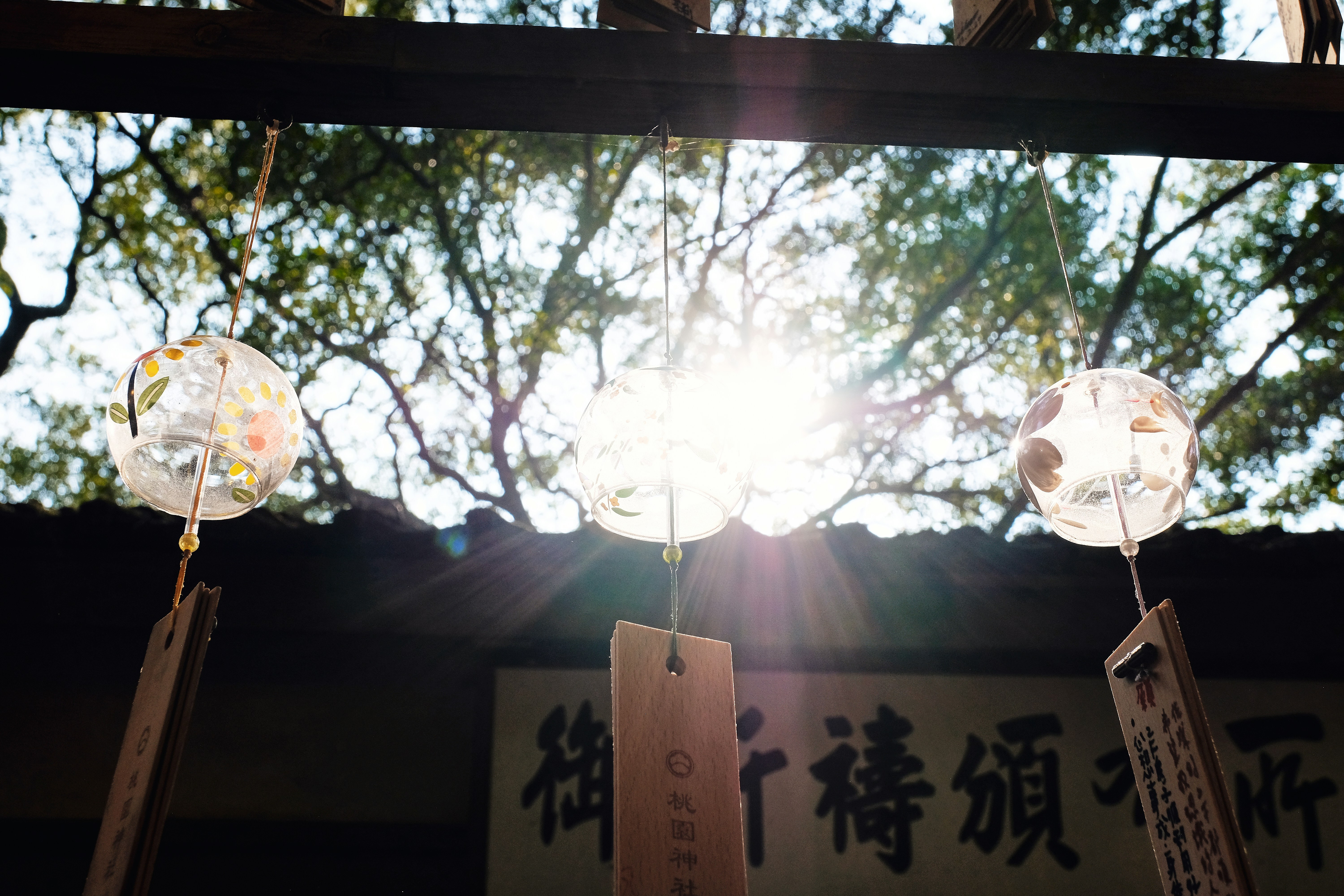 Whispers of Tradition: Glass Ornaments in Sunlight