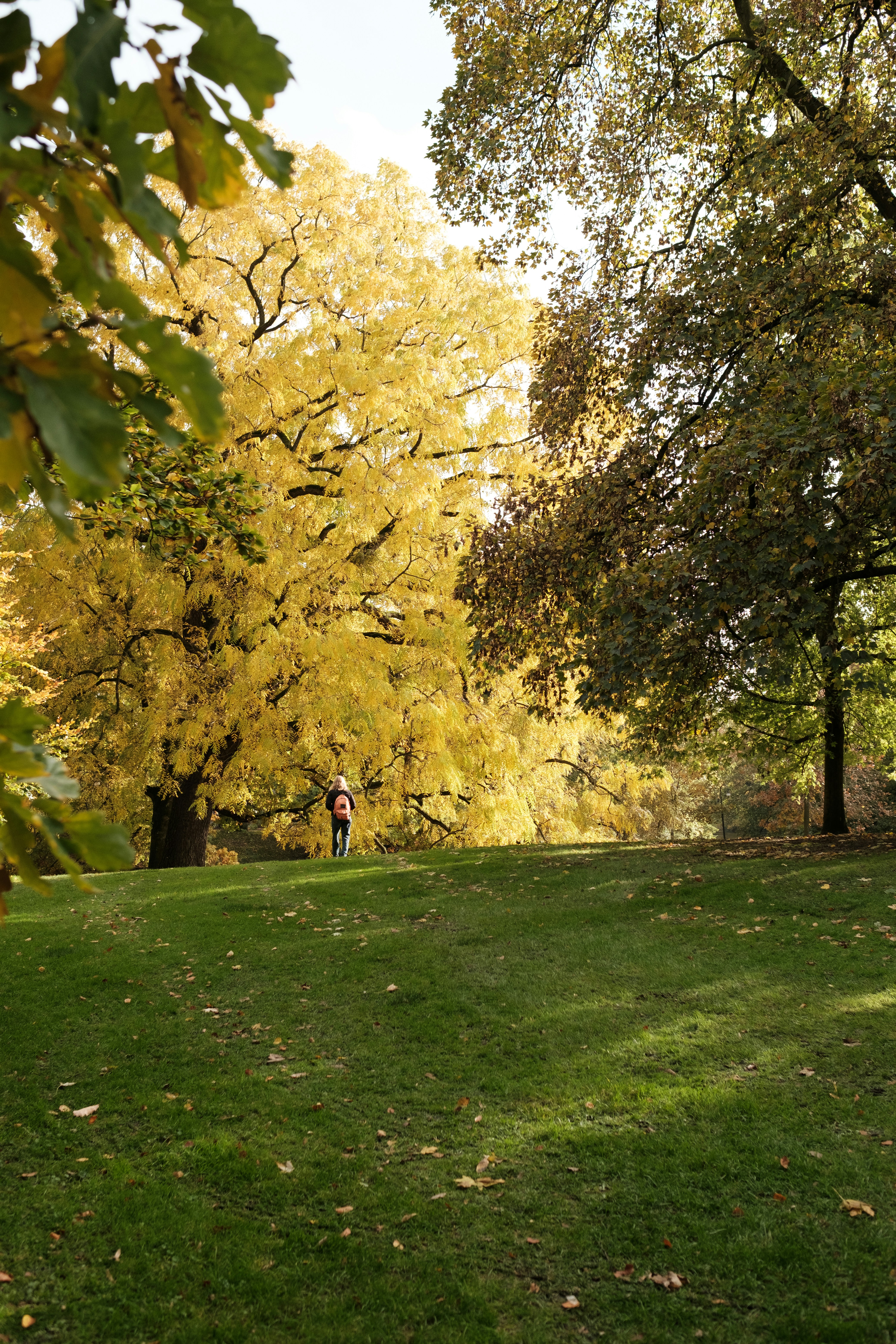 Photo by Karl Hörnfeldt with Fujifilm X-T3