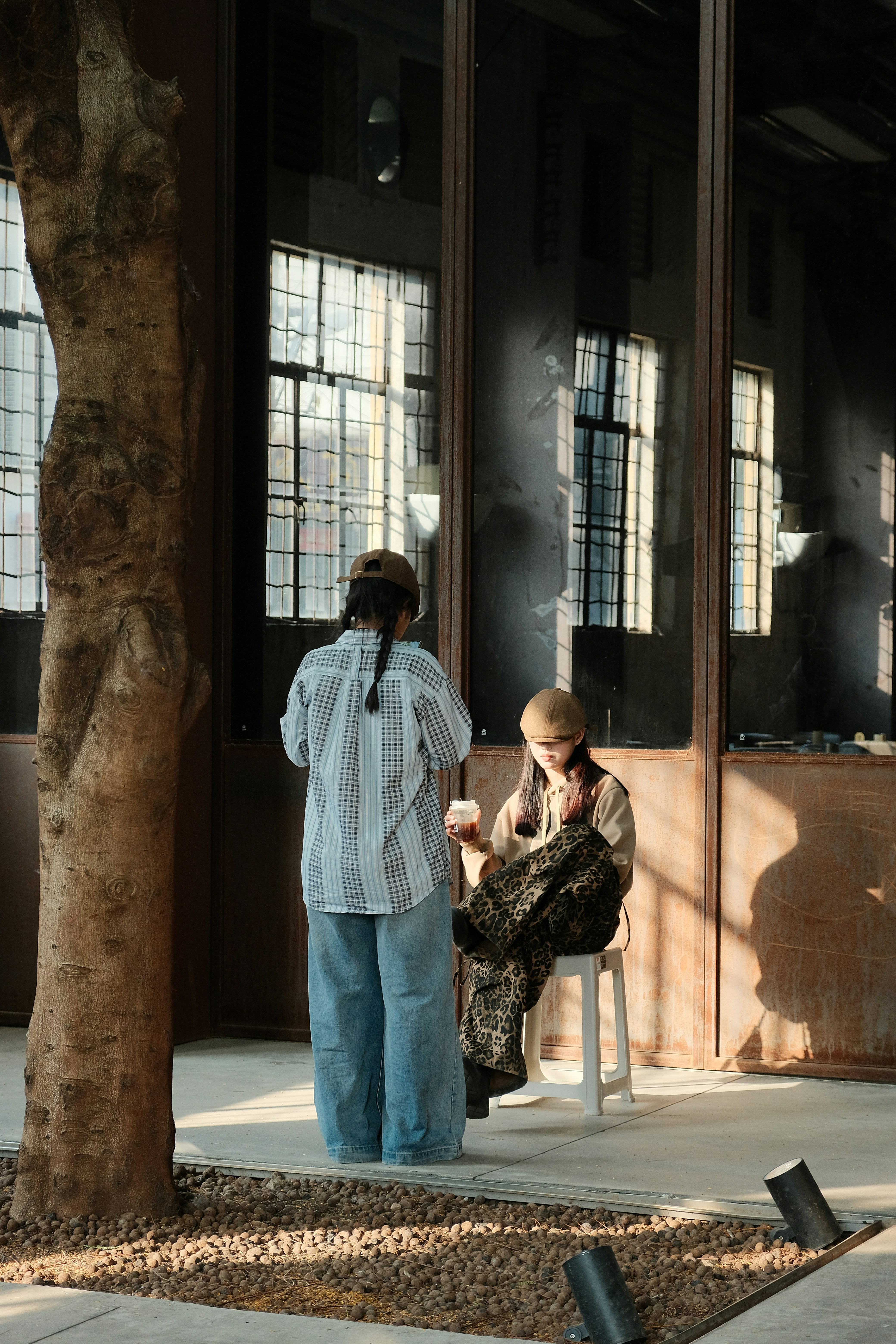 Un homme assis sur une chaise blanche à côté d’un arbre photo – Image ...