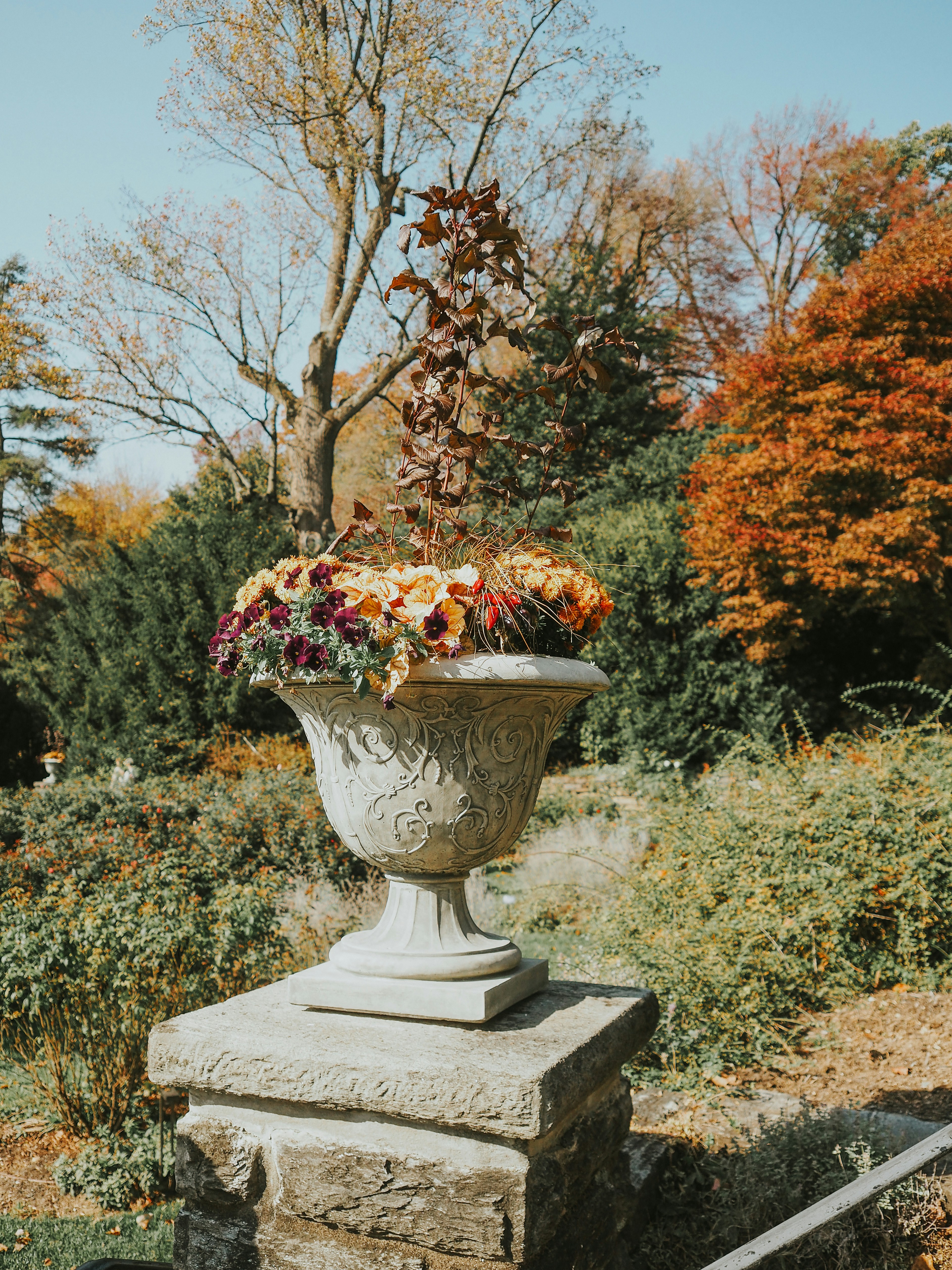 Photo by Barbara Burgess with Olympus PEN-F