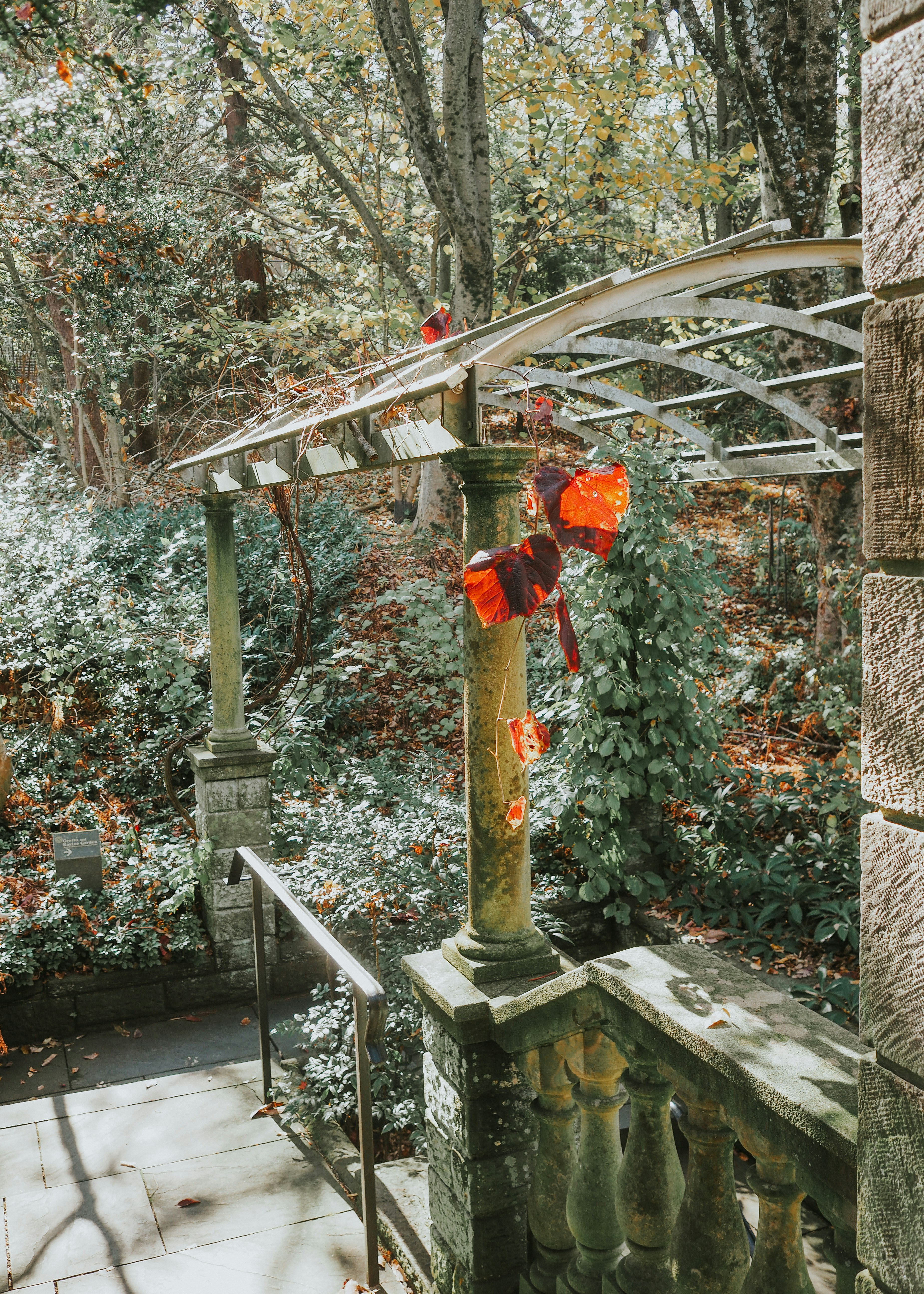 Photo by Barbara Burgess with Olympus PEN-F