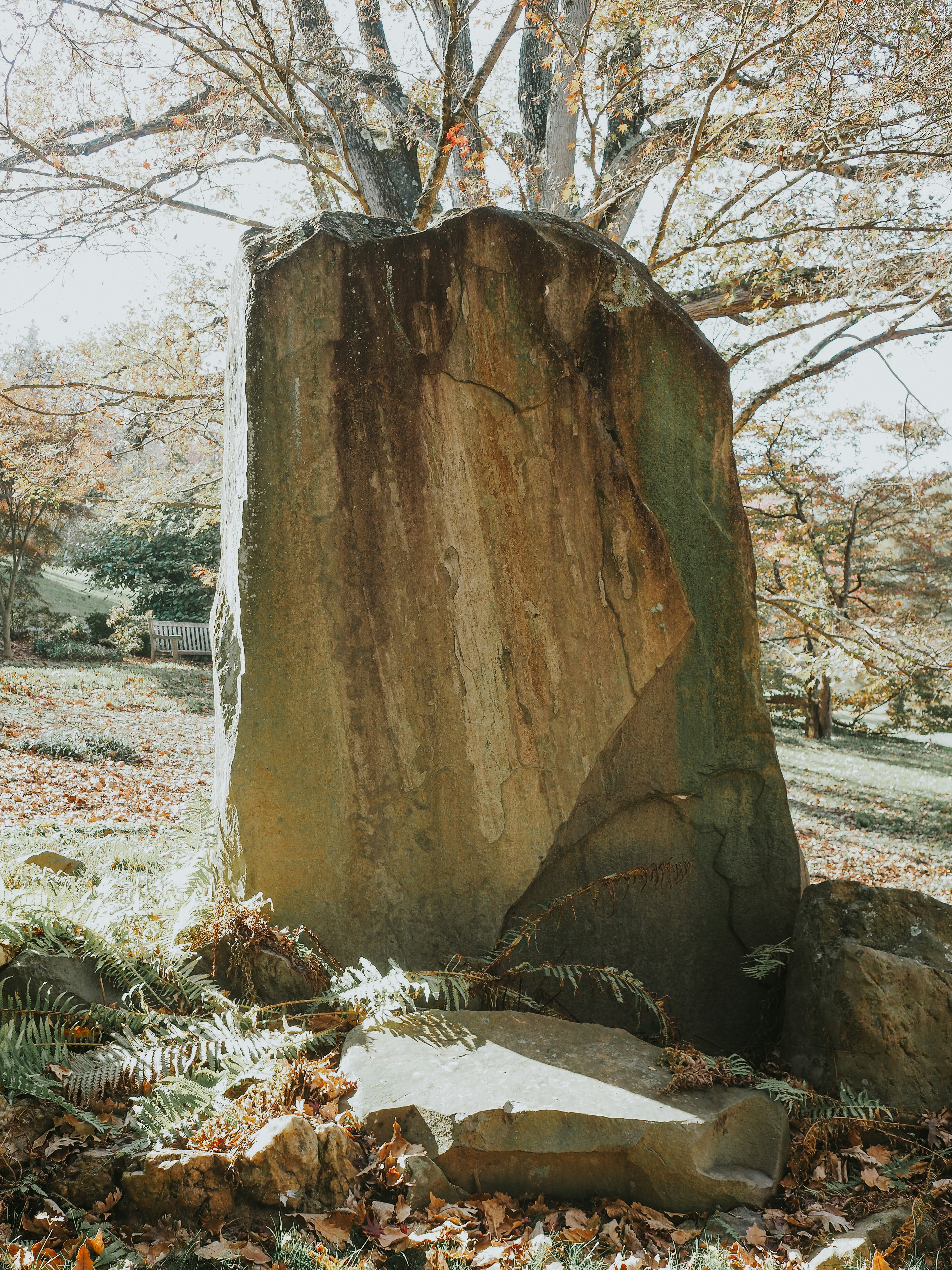 Photo by Barbara Burgess with Olympus PEN-F