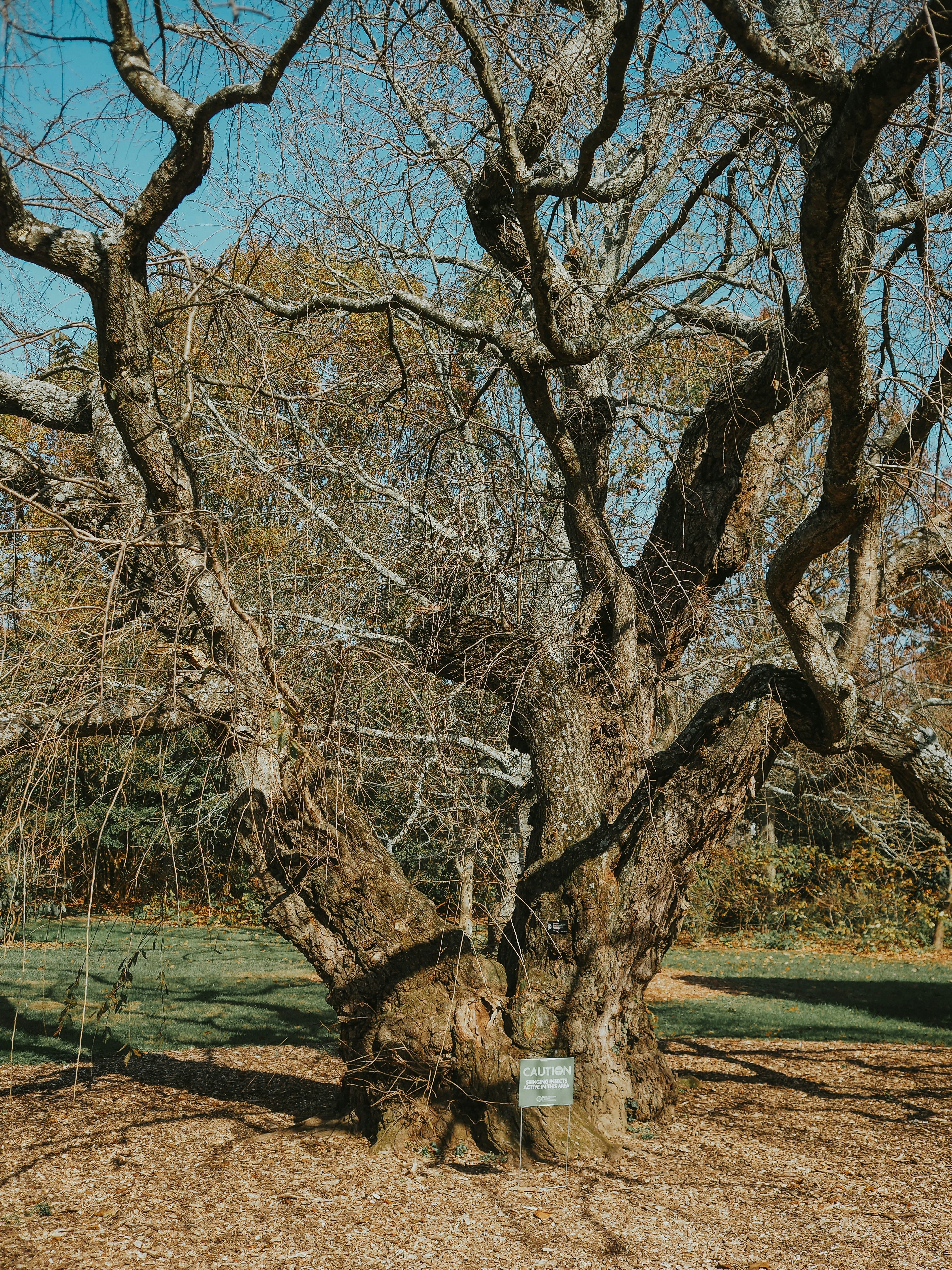 Photo by Barbara Burgess with Olympus PEN-F