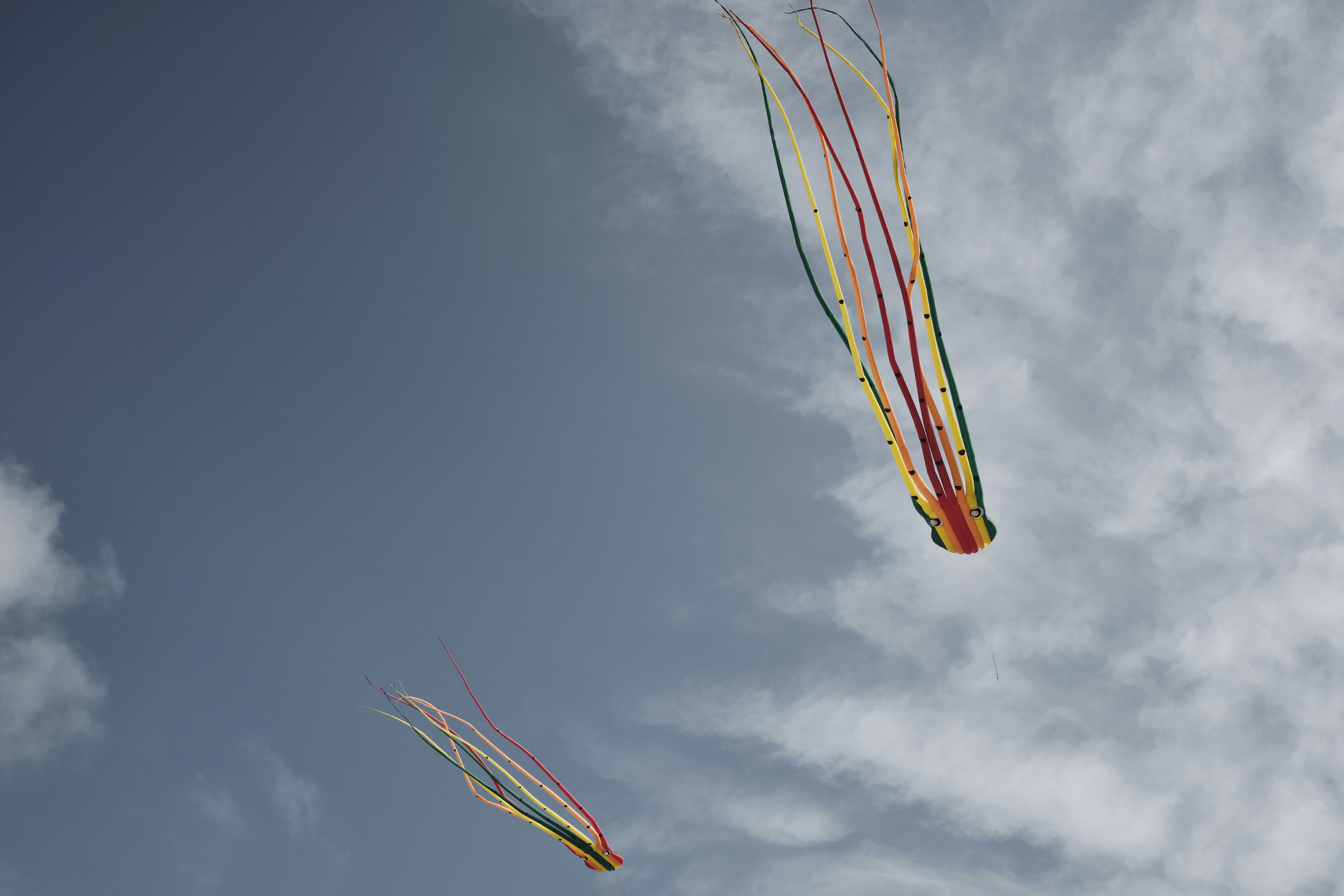 Colorful Kite Tails Slice Through a Clear Sky