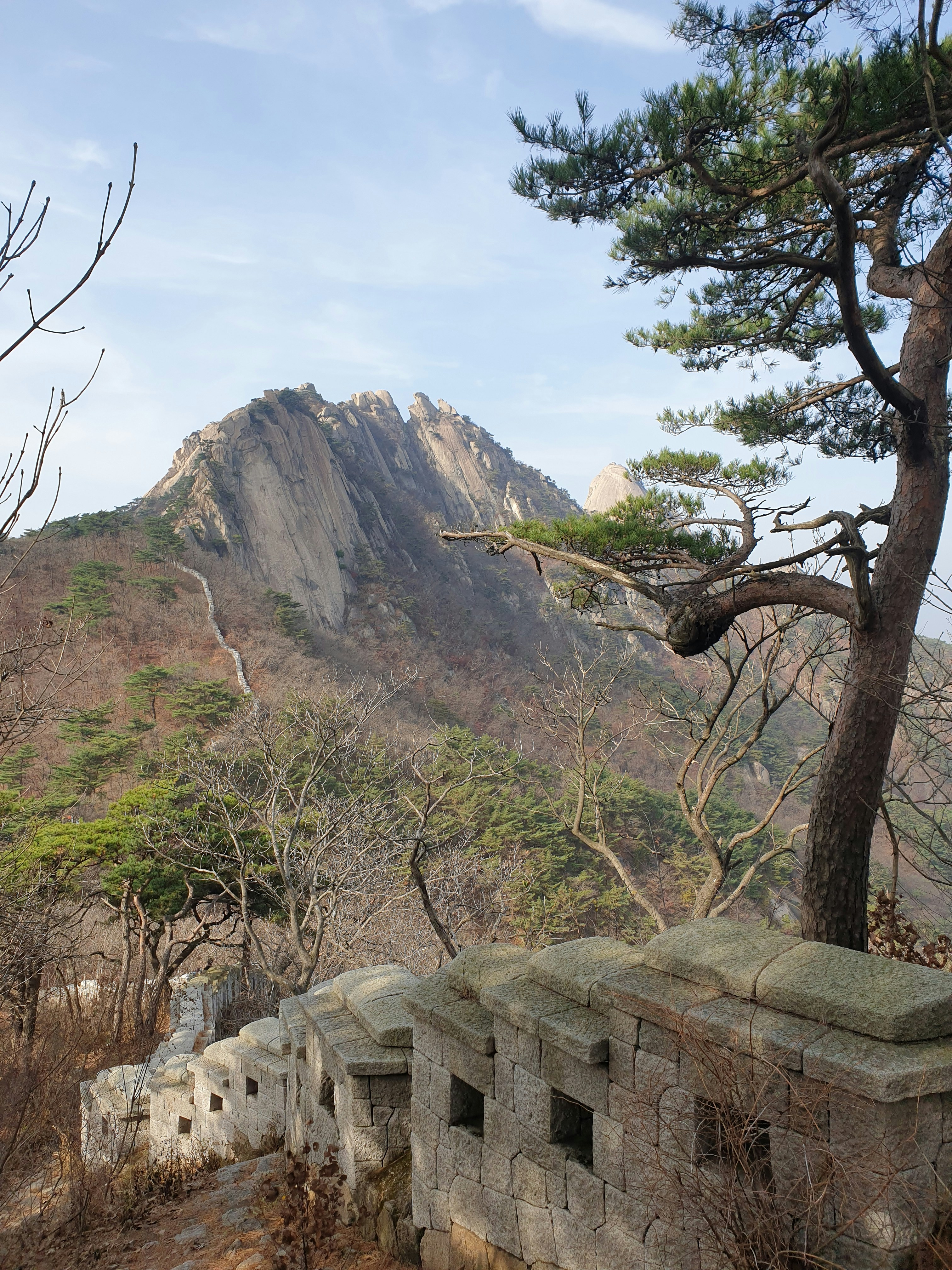 Ridge Above the Wall: Mountain Vista Framed by Pines