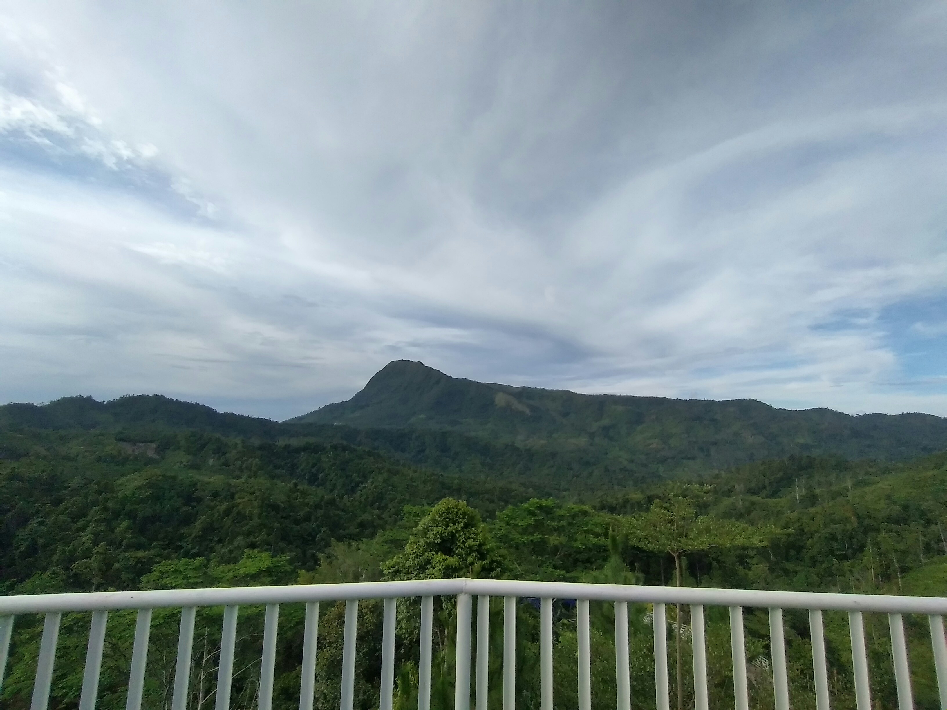 Photo by Edmundo Cole with Samsung Galaxy A20s