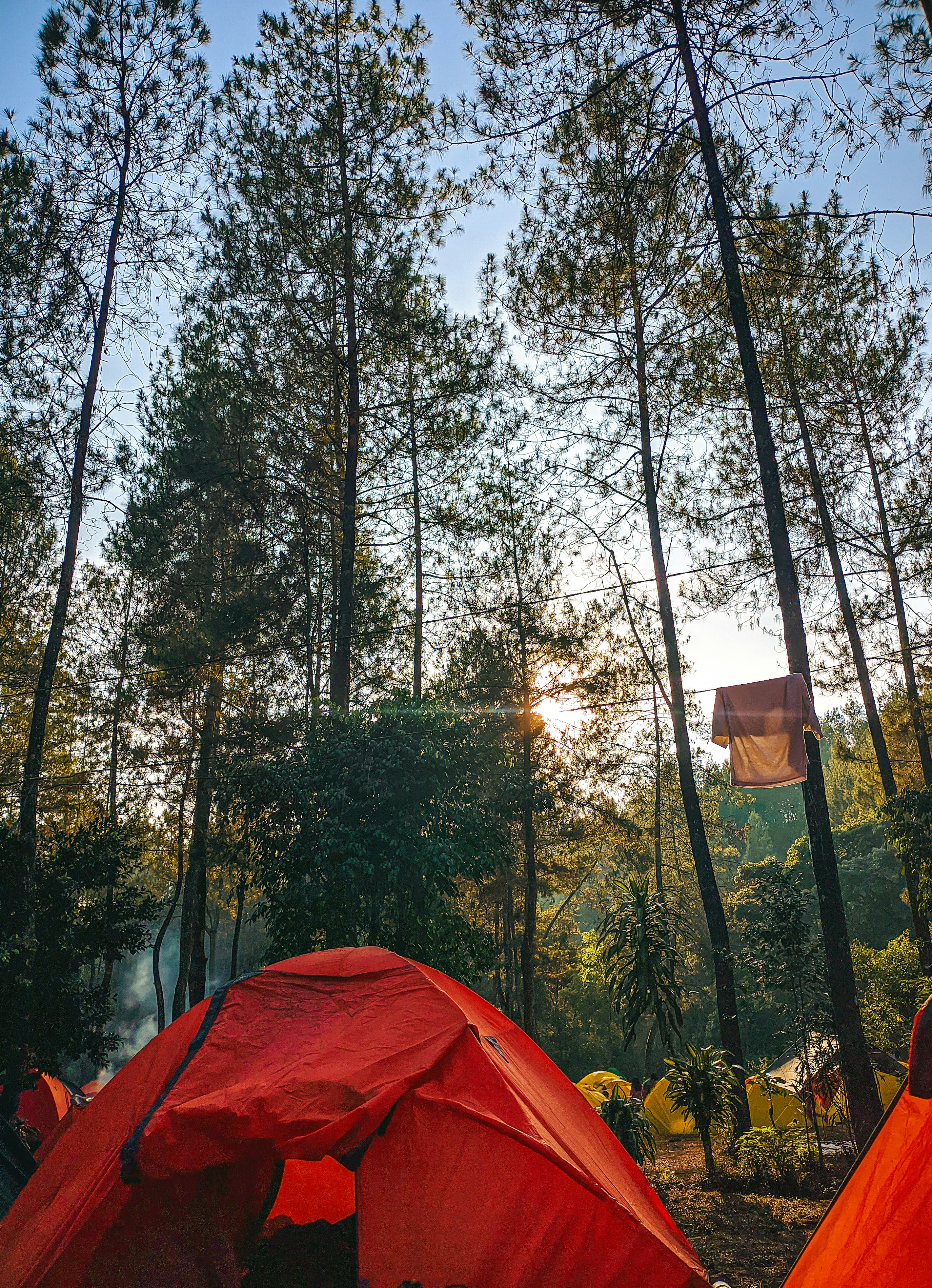 Sunlight filters through tall pines above a lively campsite with bright orange tents clustered near the forest floor.