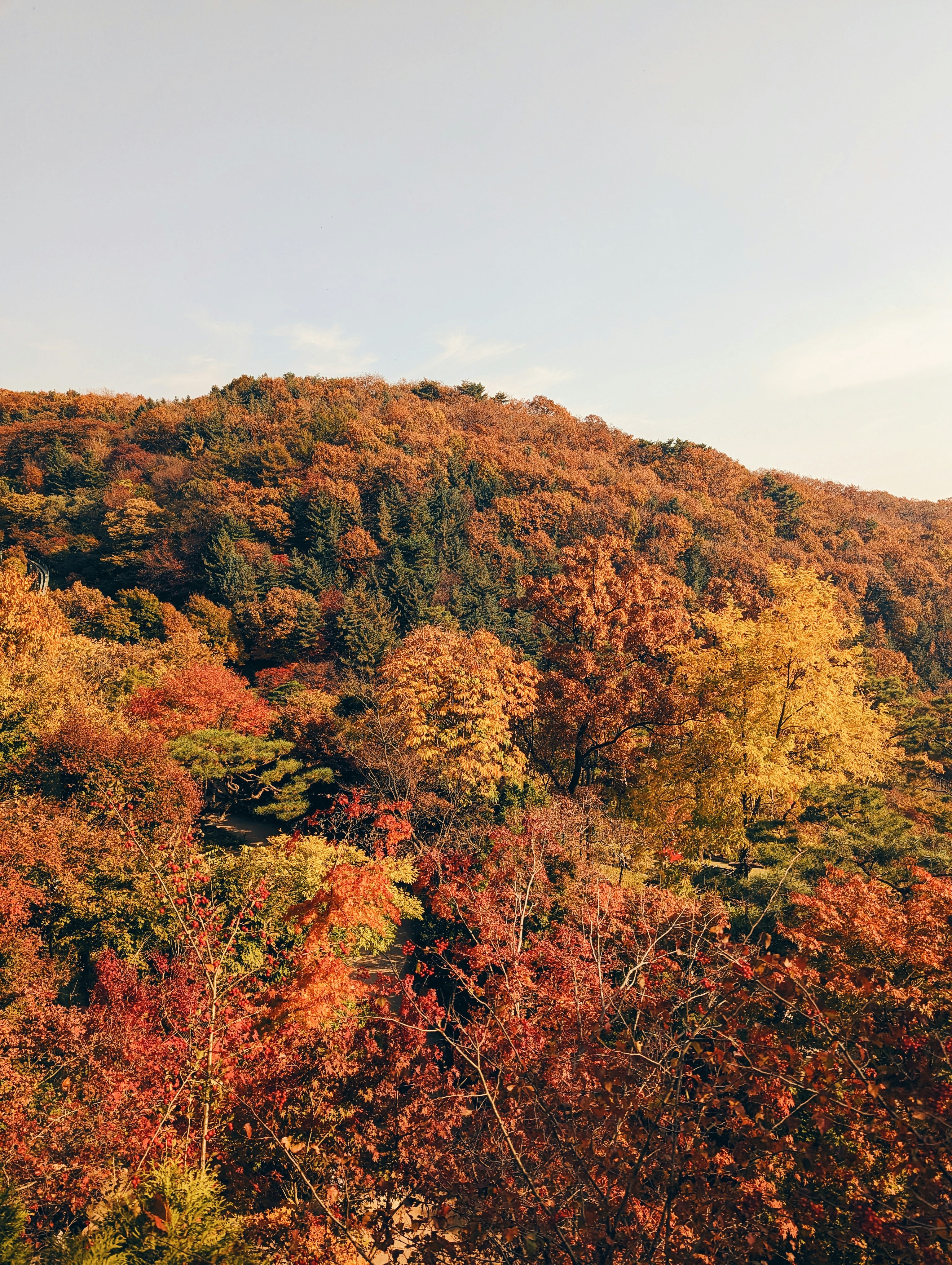 Photo by note thanun with Google Pixel 6