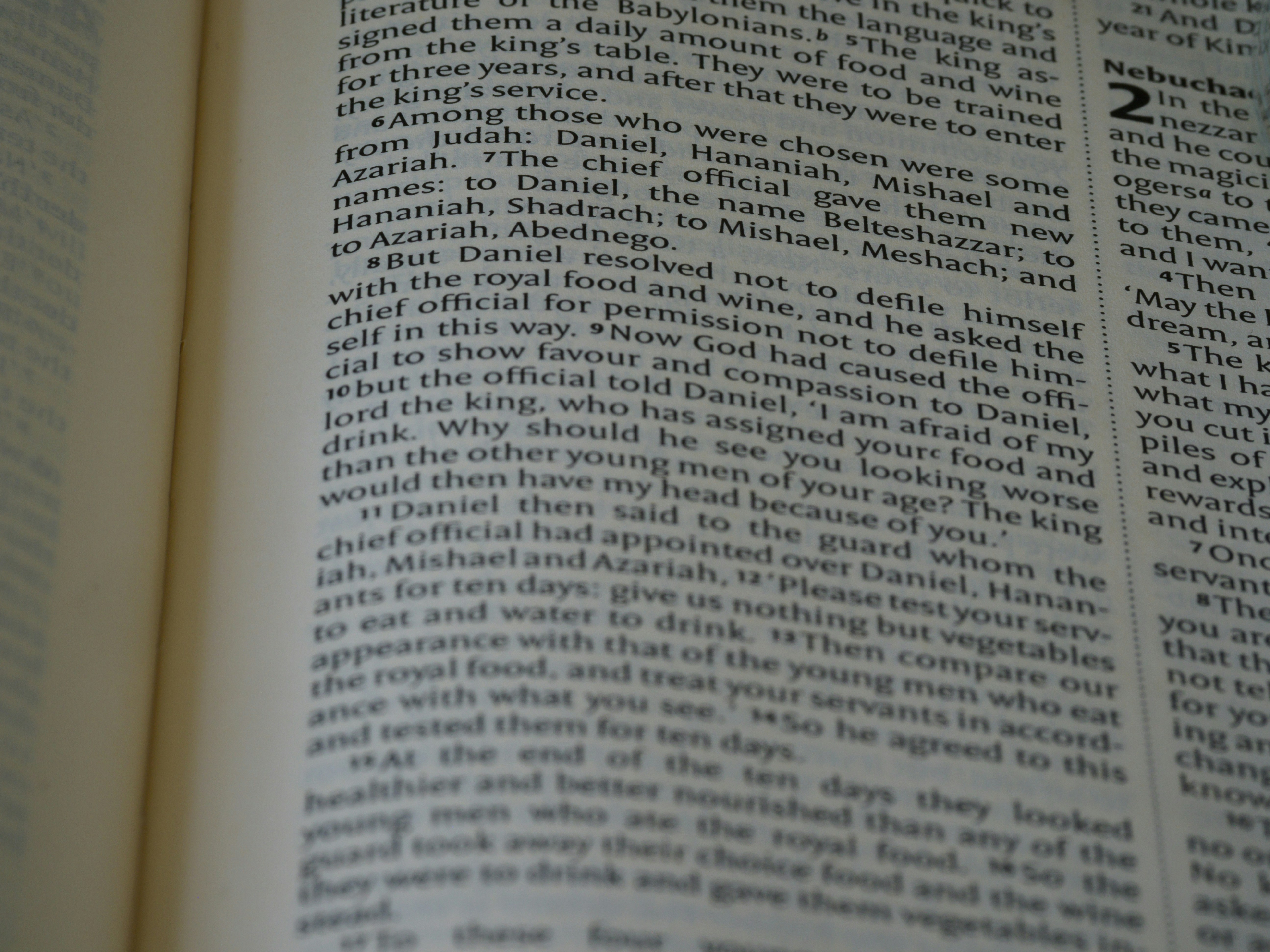 A close up of an open book with text photo – Free Text Image on Unsplash