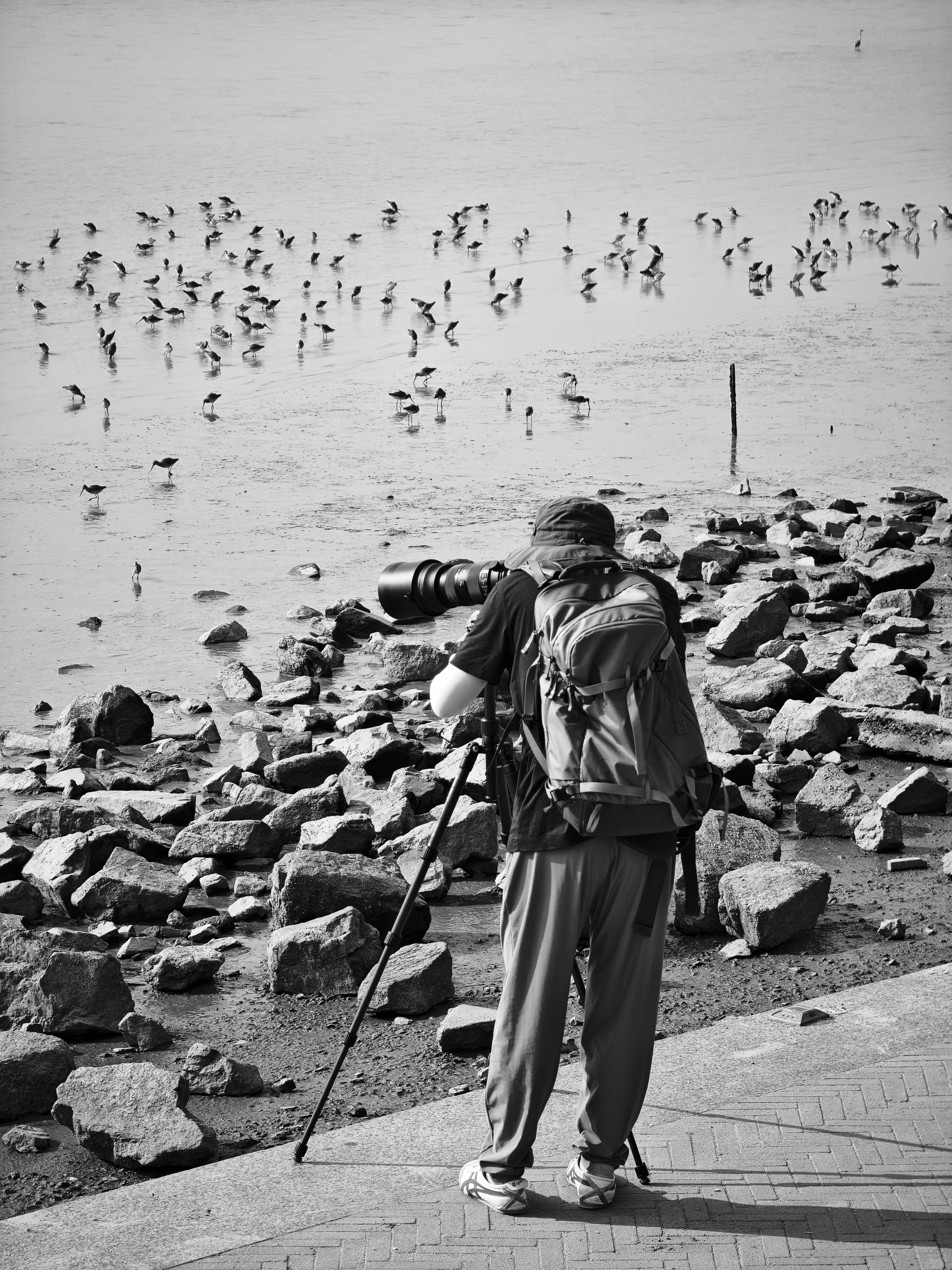A photographer with a large telephoto lens on a tripod surveys a rocky shoreline. The scene is captured in stark black-and-white, emphasizing gear and texture.