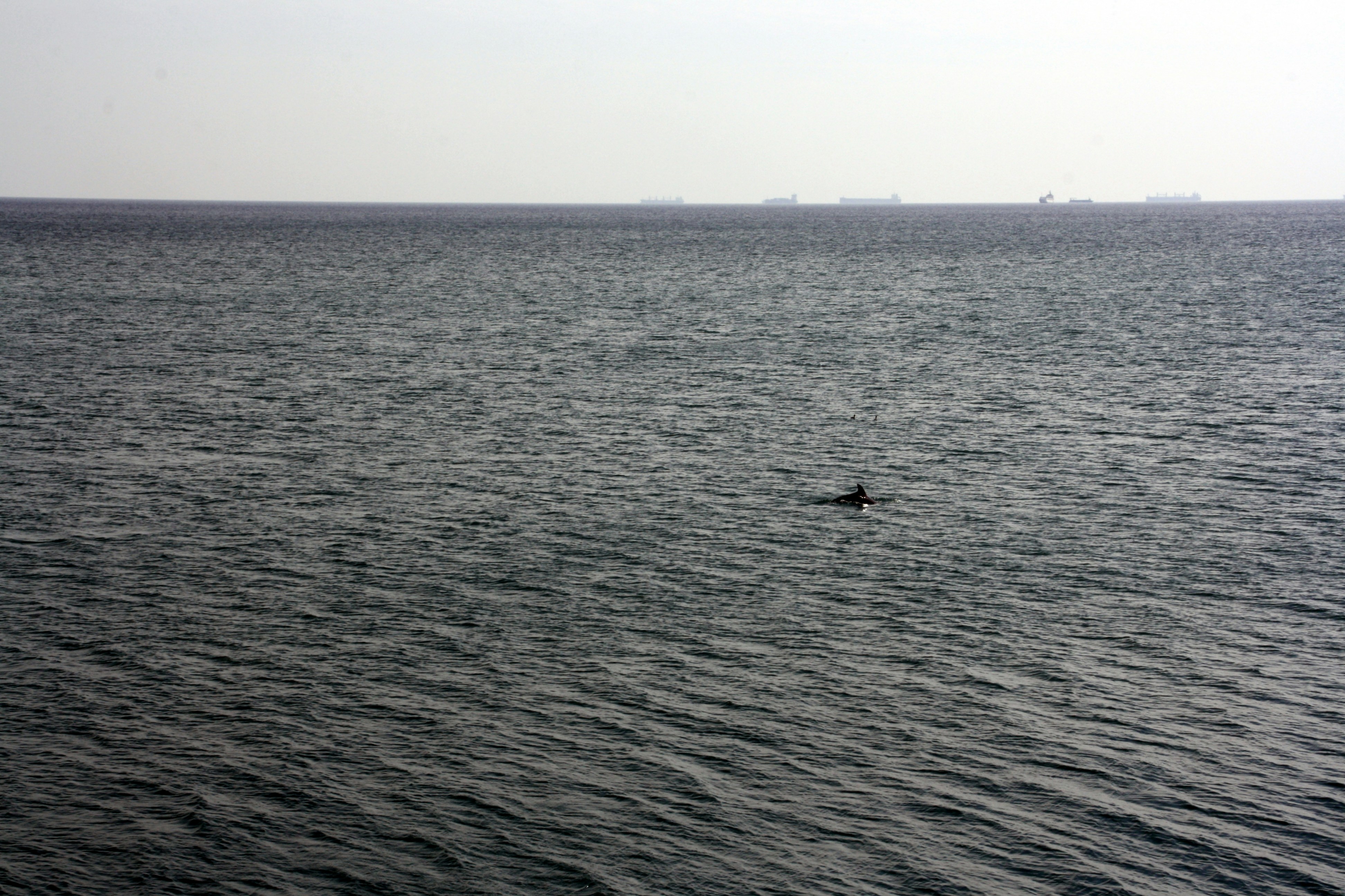 Photo by Rebecca Hausner with Canon EOS 1000D