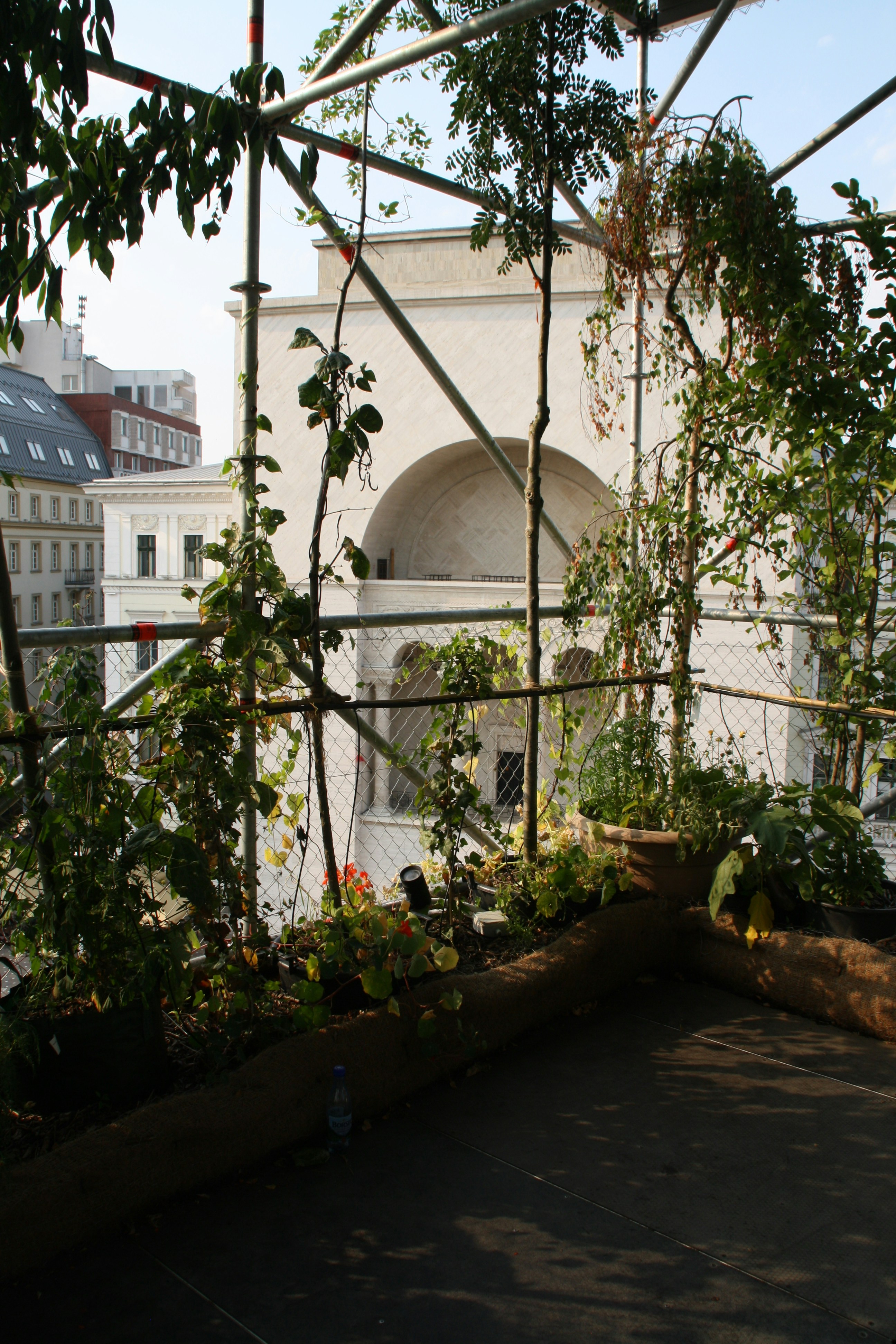 Photo by Rebecca Hausner with Canon EOS 1000D