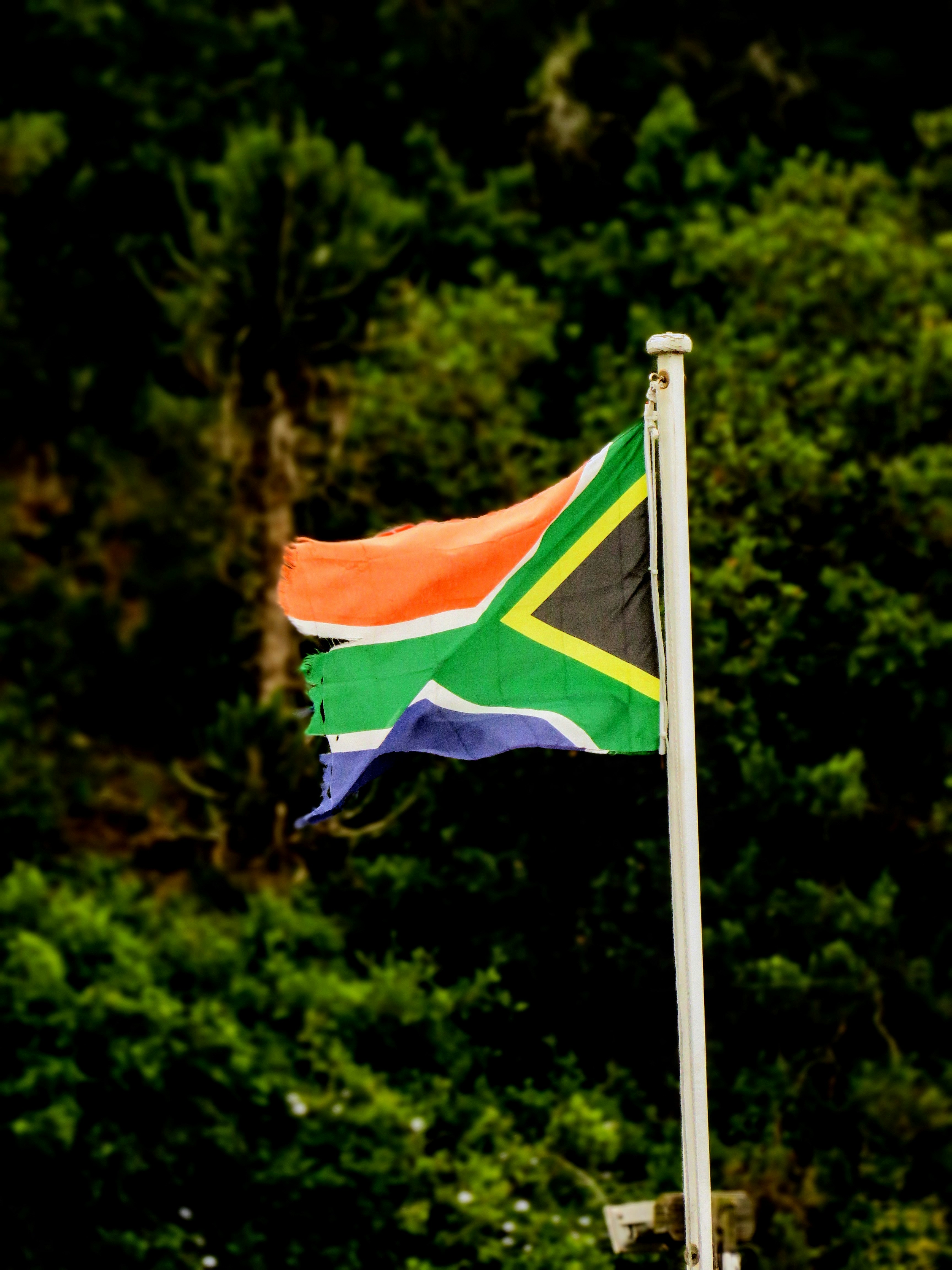 Tattered South Africa Flag Flutters Along a White Pole Against a Dense Green Backdrop