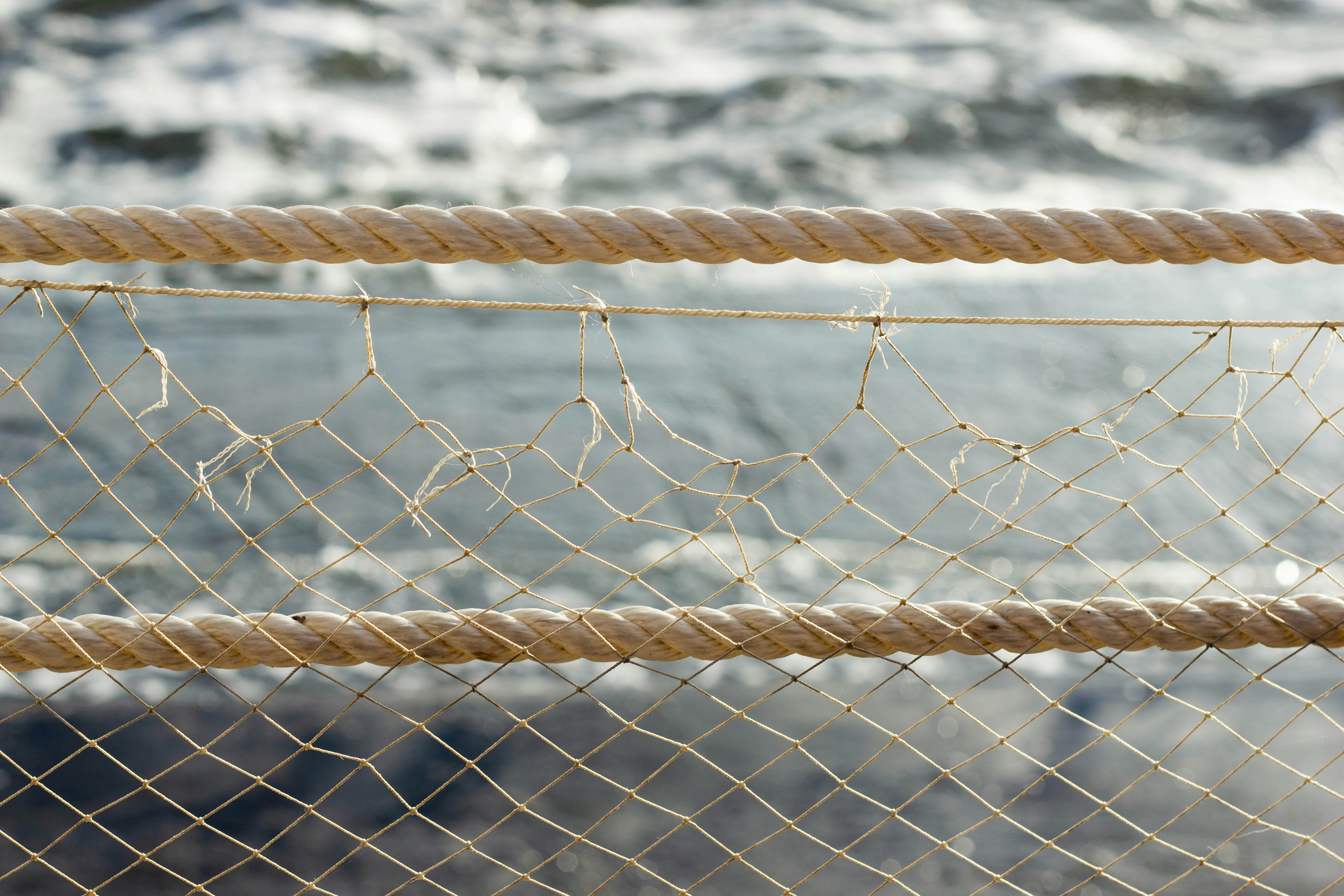 Rope Mesh Over Sea: A Study in Tension and Light