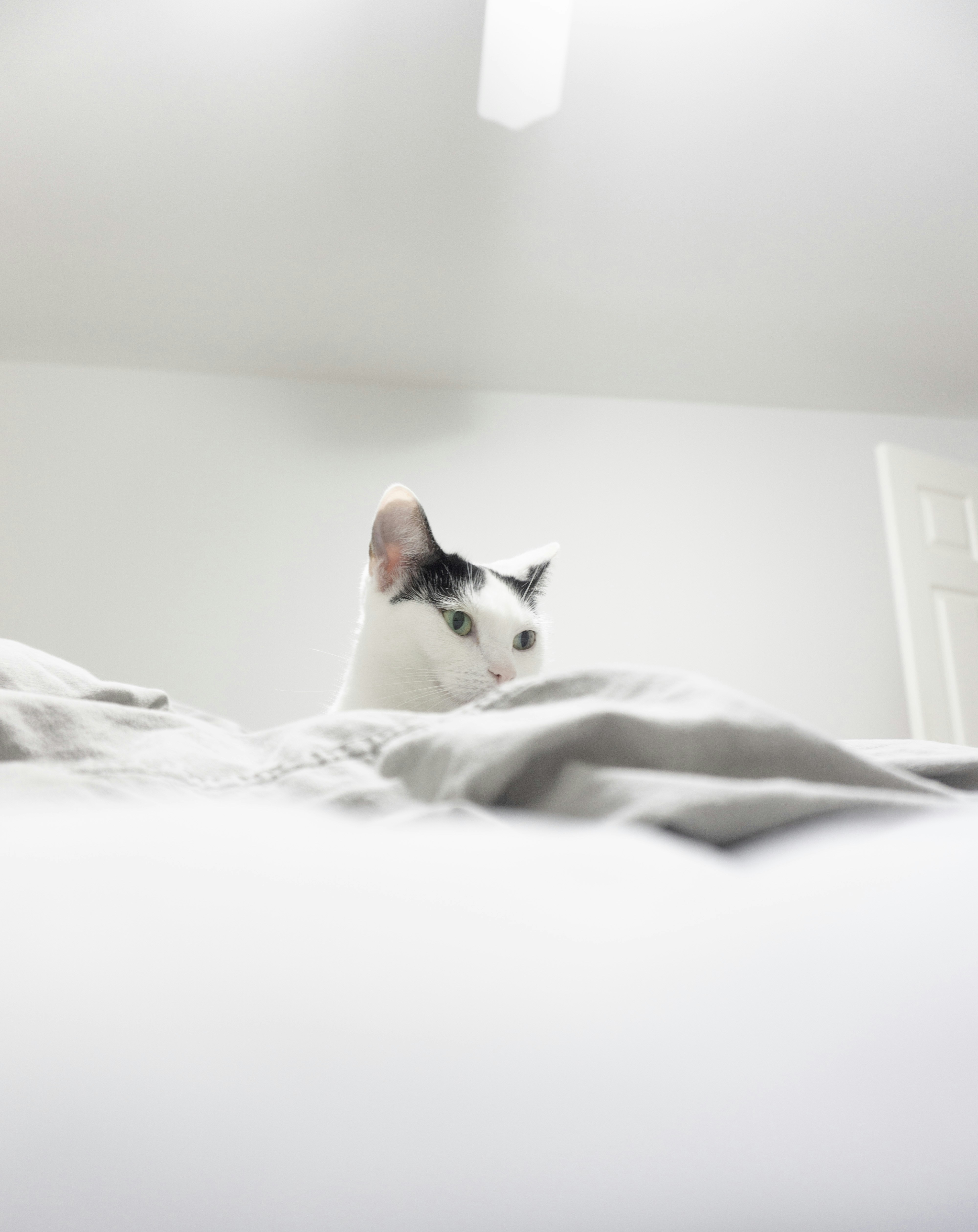 Photo by Mathieu Deslauriers with Sony Alpha 6000