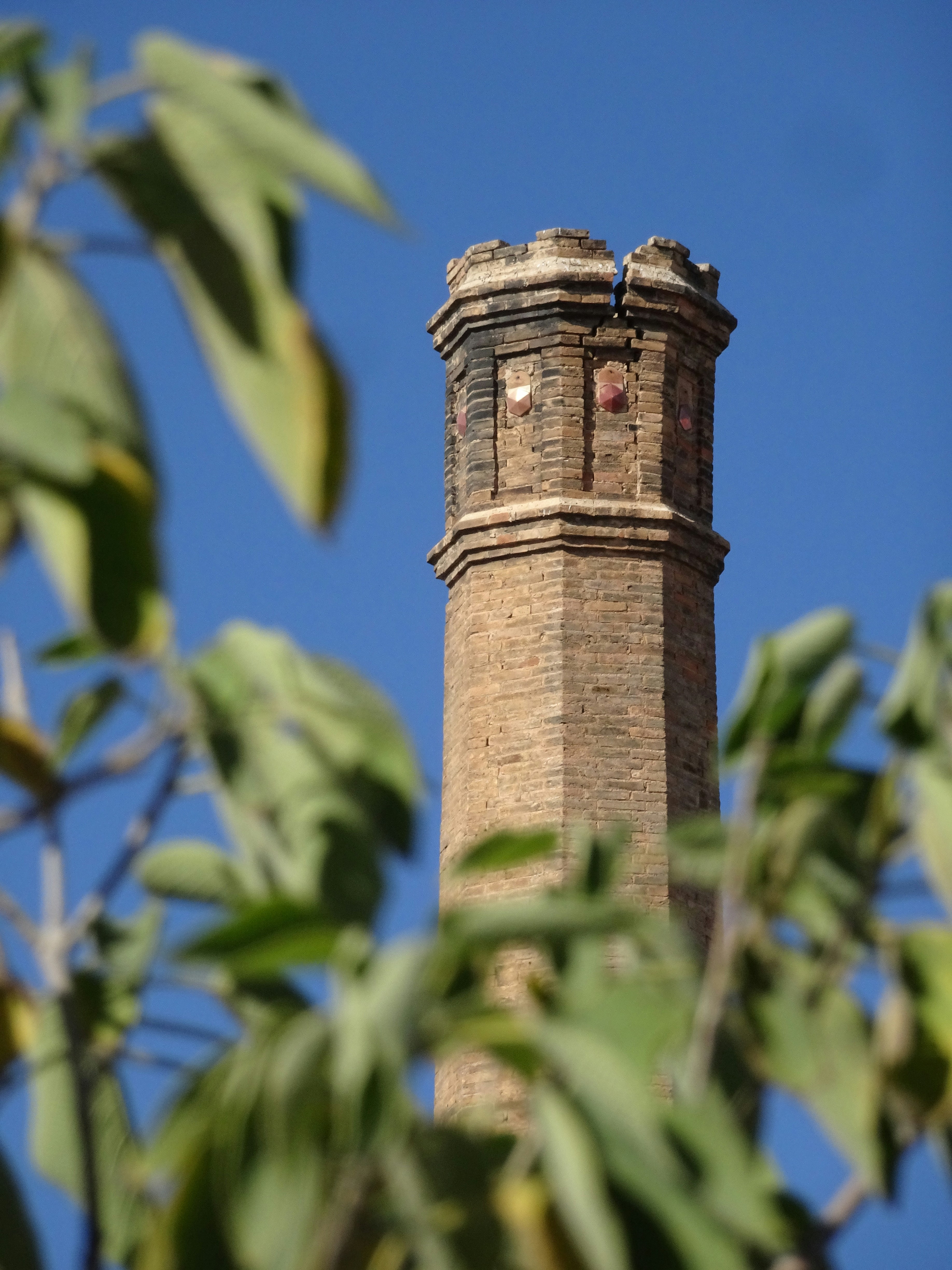 Brick chimney rises against a clear blue sky, framed by out-of-focus green leaves in the foreground.