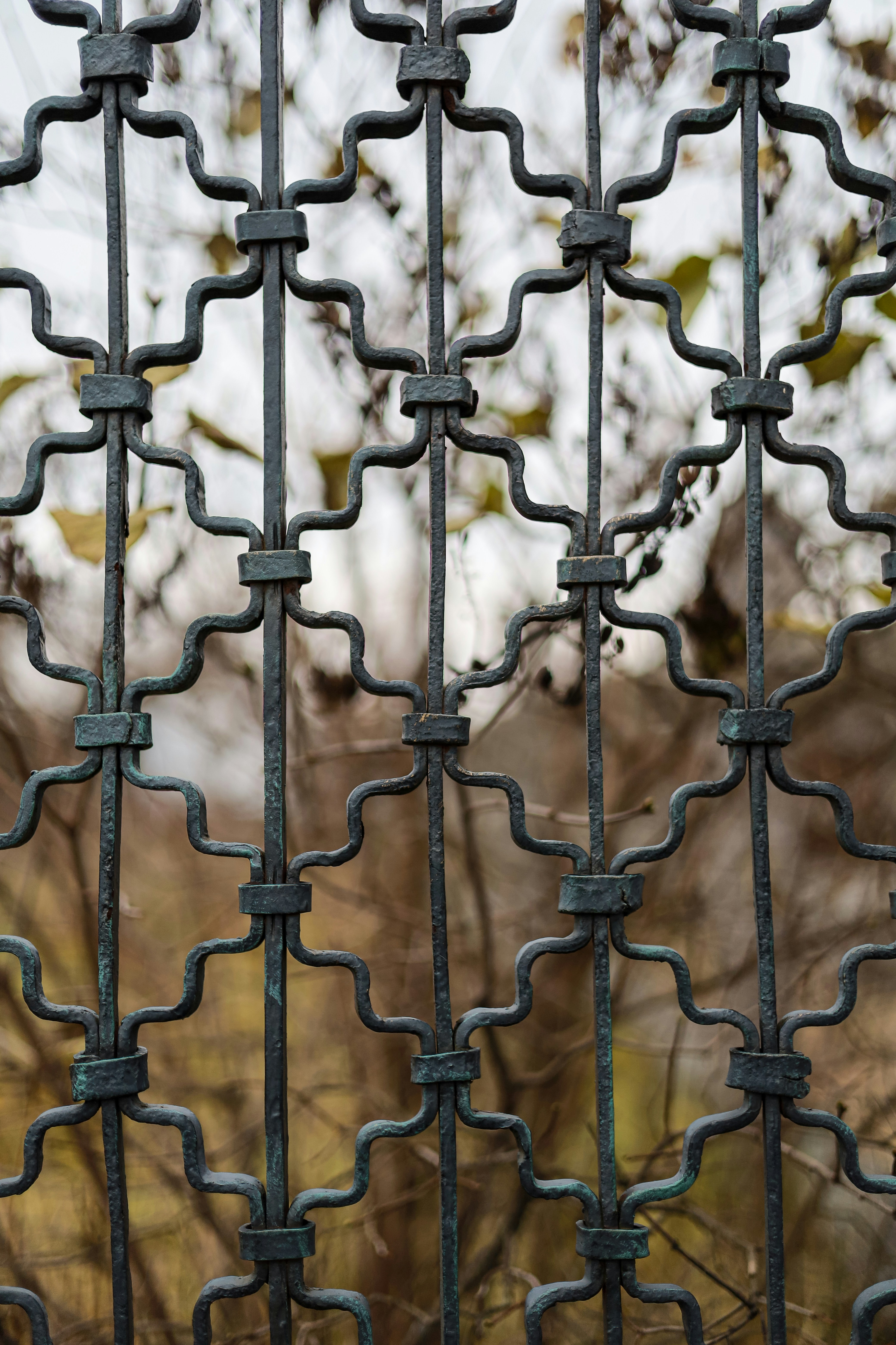 Photo by Ksenia Obukhova with Canon EOS RP