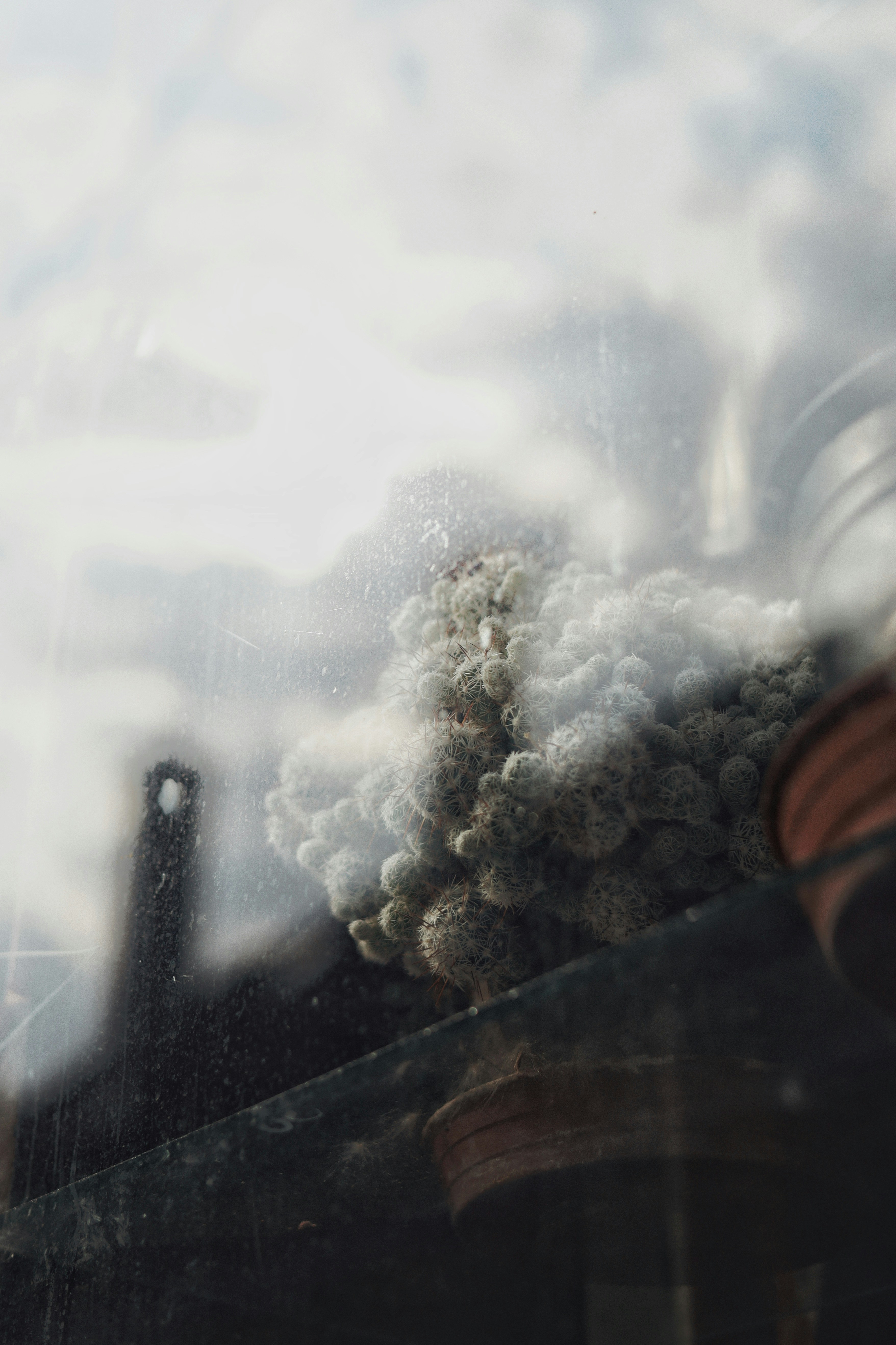 Frost Bloom on Glass Pane: Winter Light in a Quiet Workshop