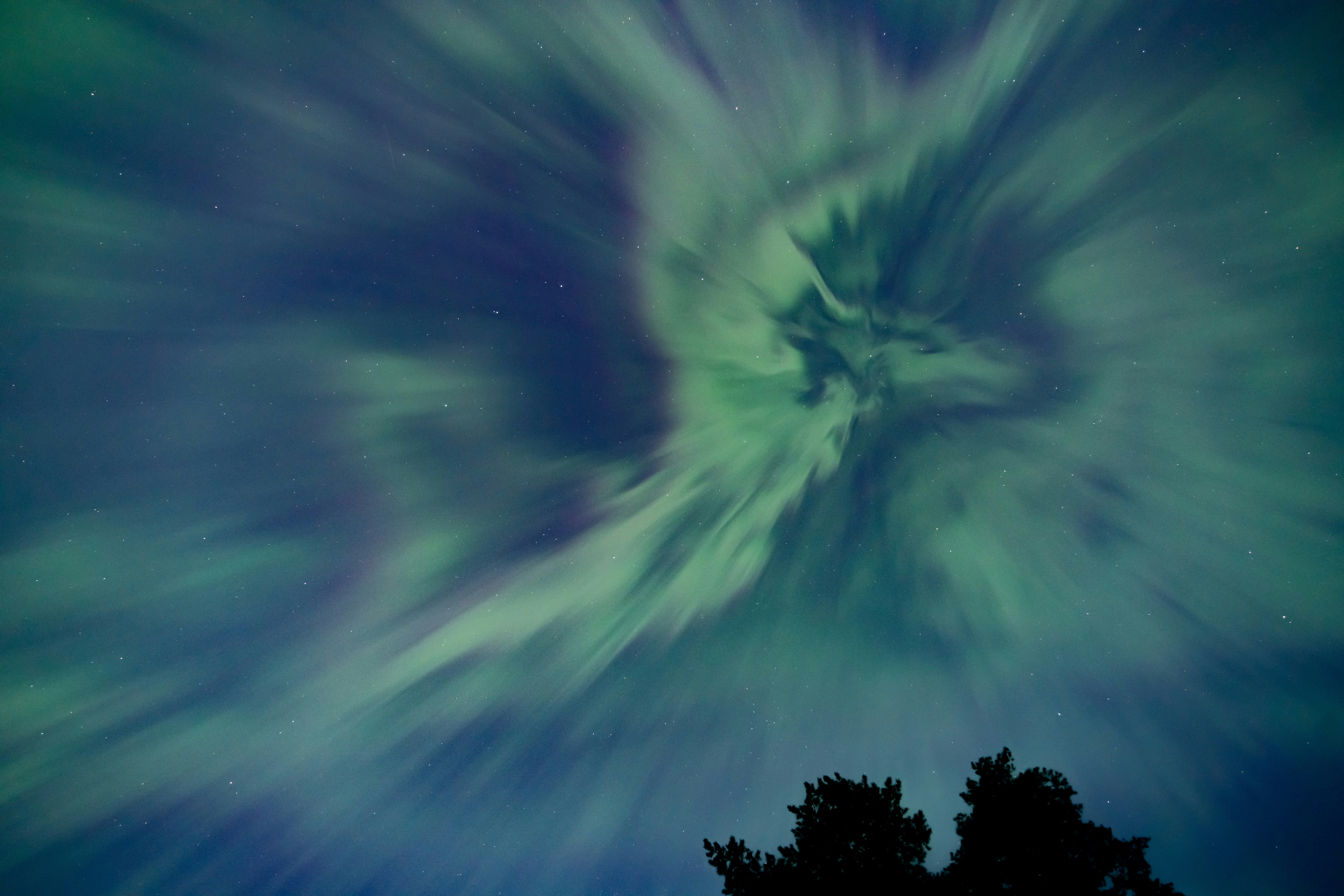 Green Spiral Aurora Over Silent Pines at Midnight