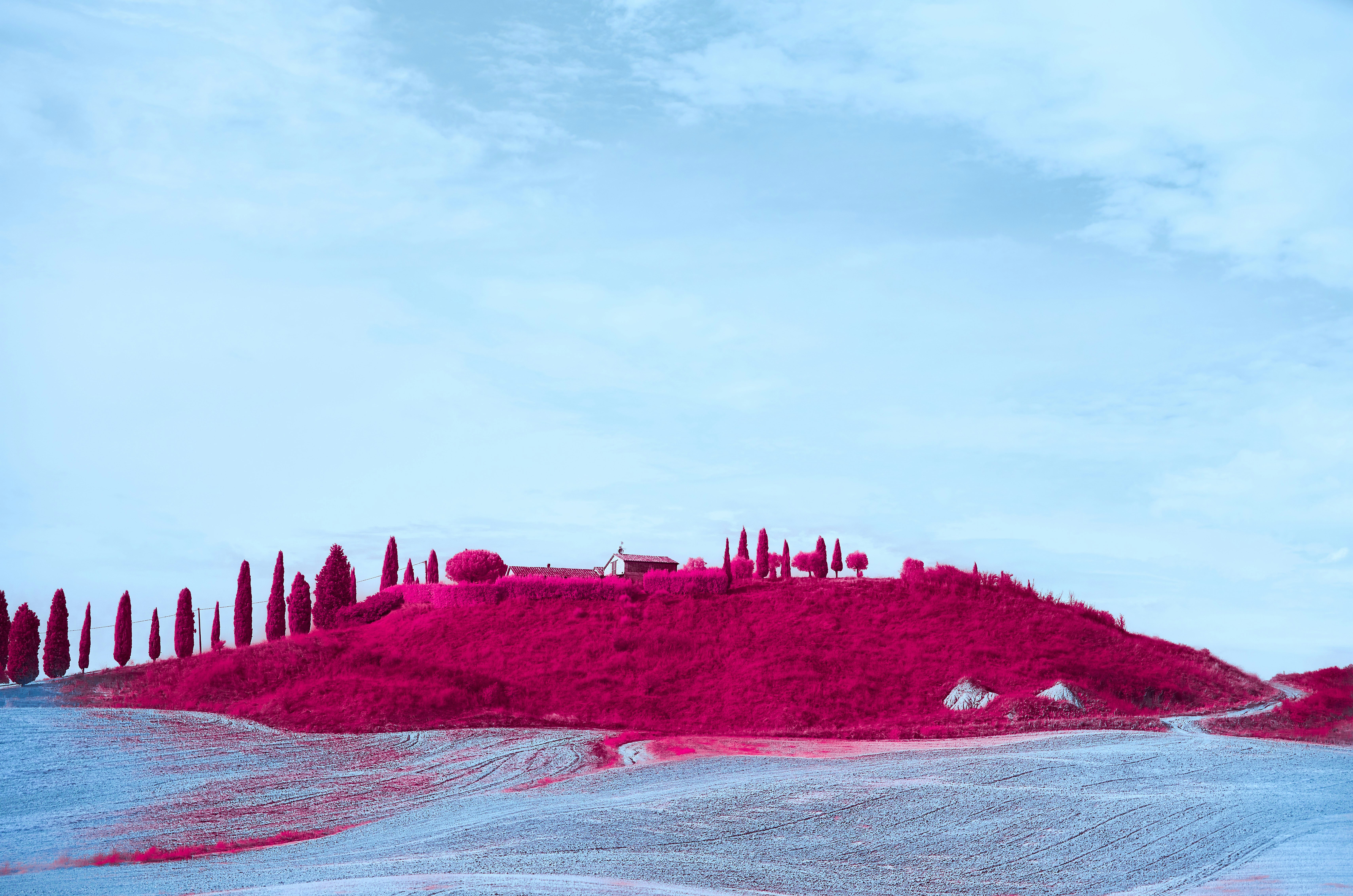 A red hill with trees on top of it photo – Free Brown Image on Unsplash