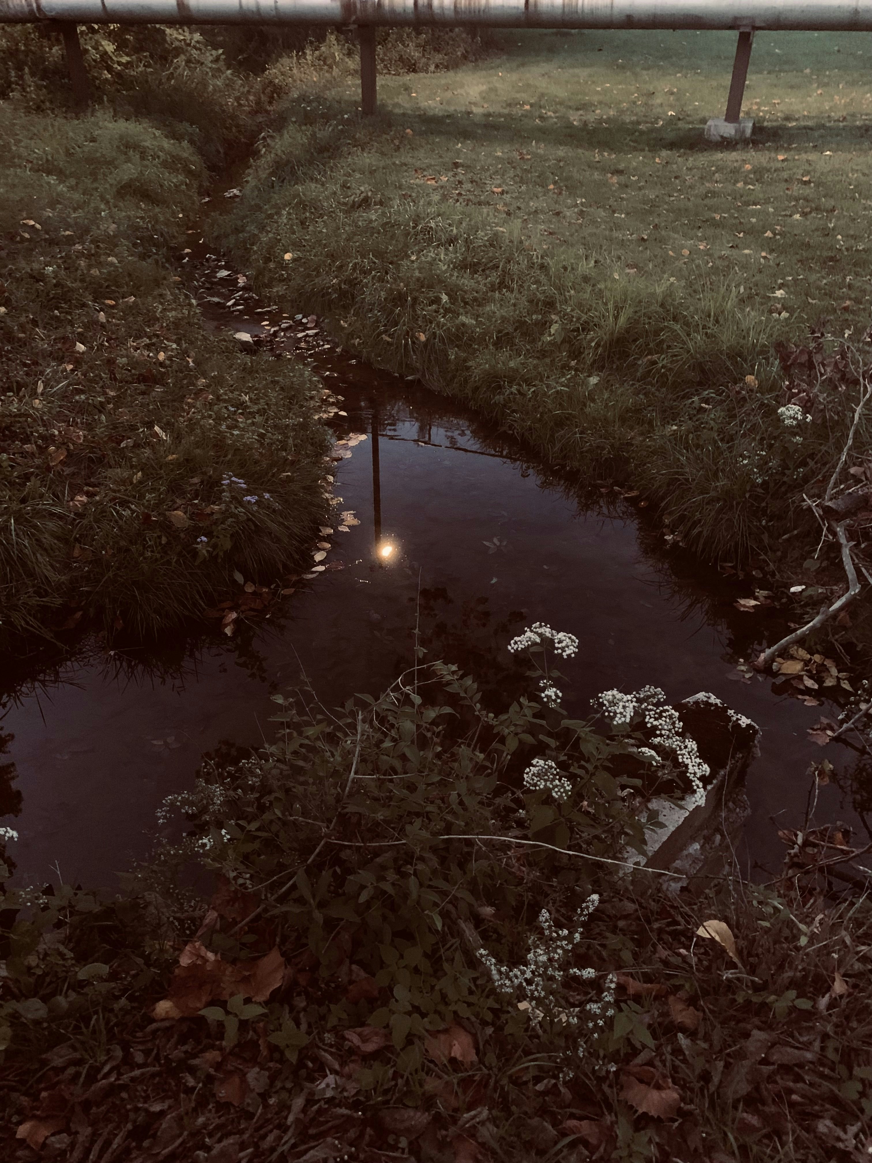 A small stream running through a lush green field photo – Free Nature ...