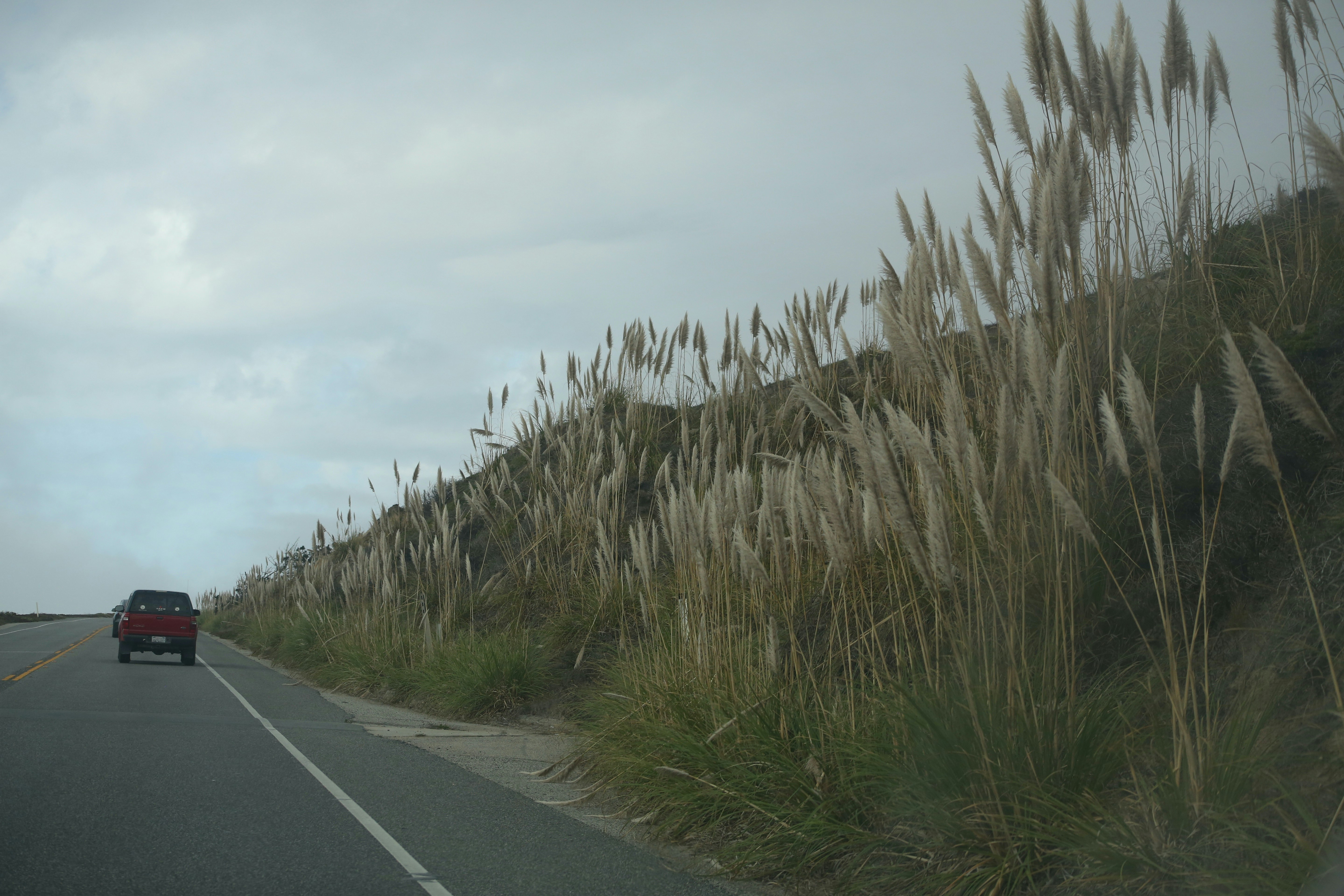 Photo by Sean Thoman with Canon EOS 5D Mark III