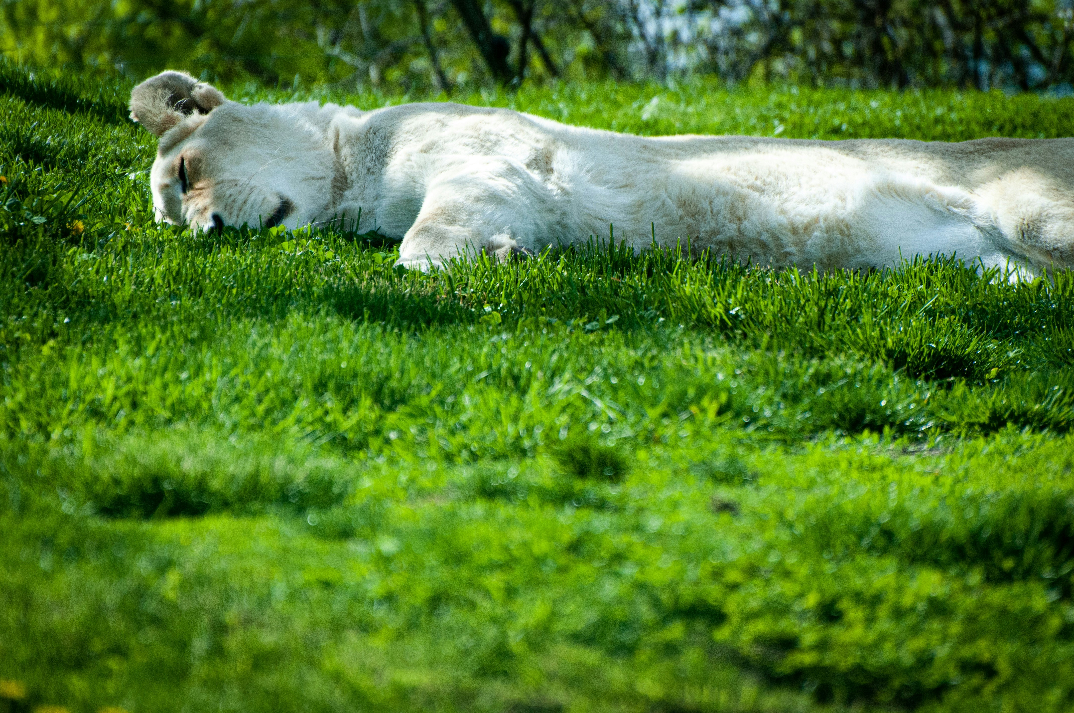 Photo by Andy Luo with Nikon D300S