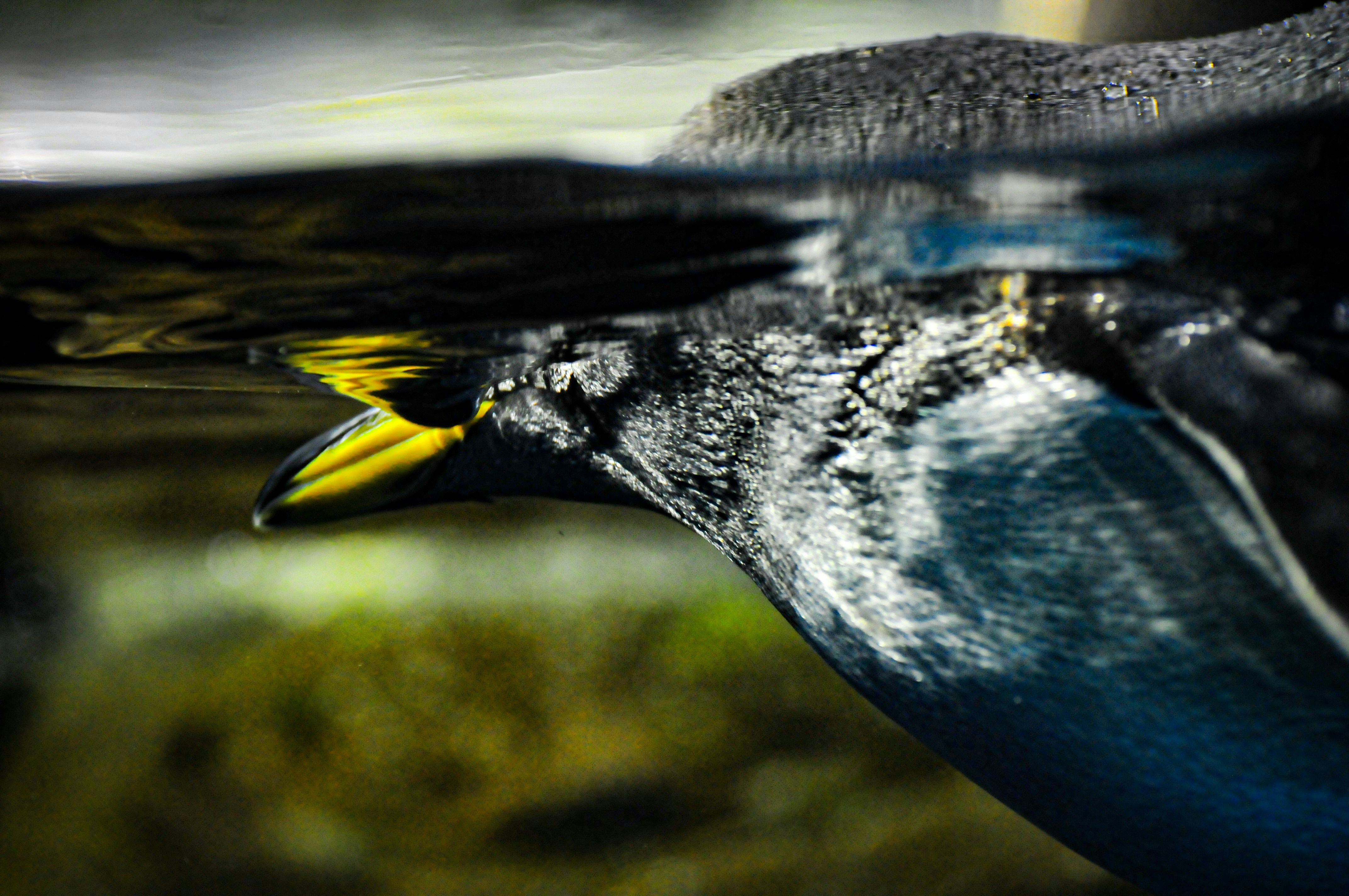 Photo by Andy Luo with Nikon D300S