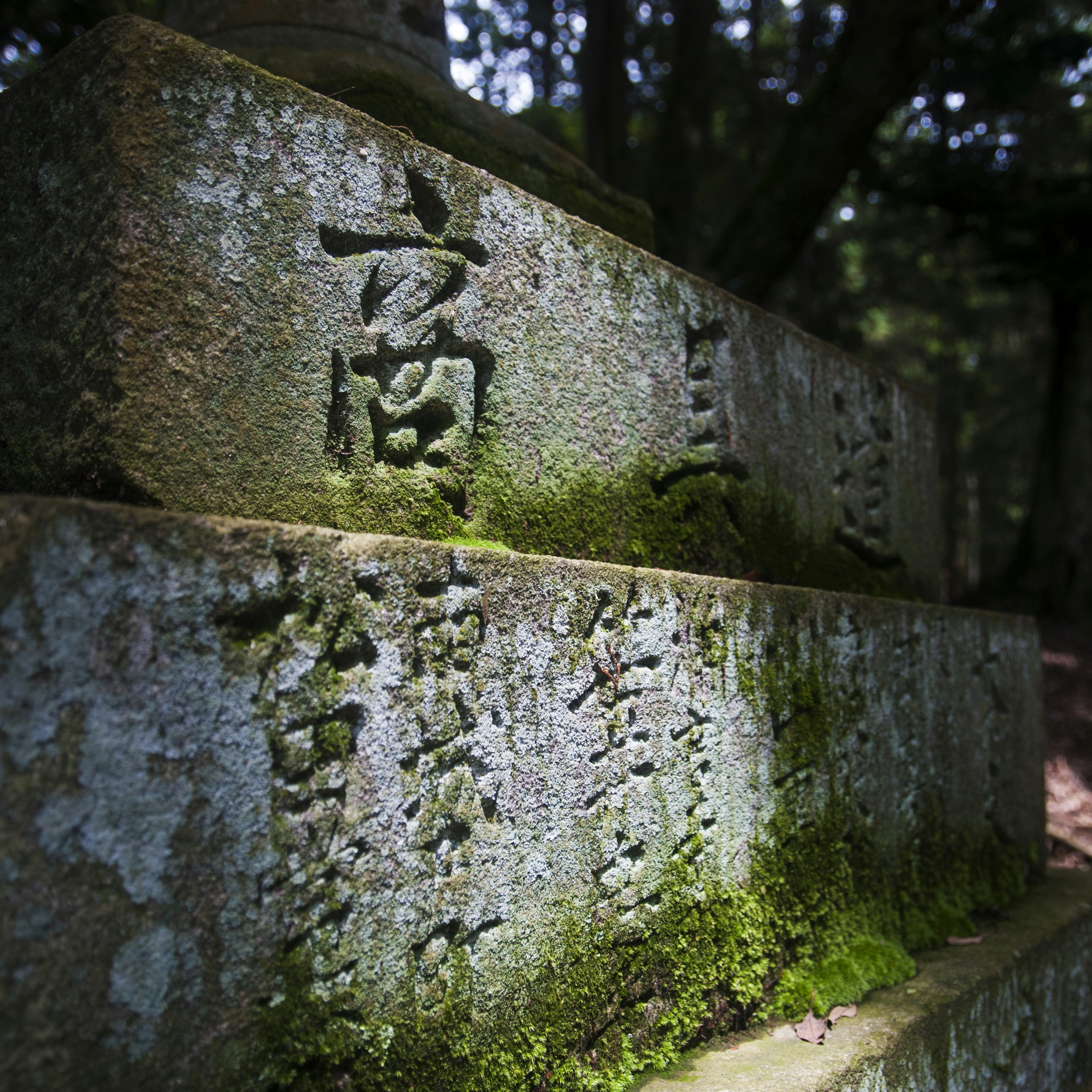 Photo by Andy Luo with Nikon D300S