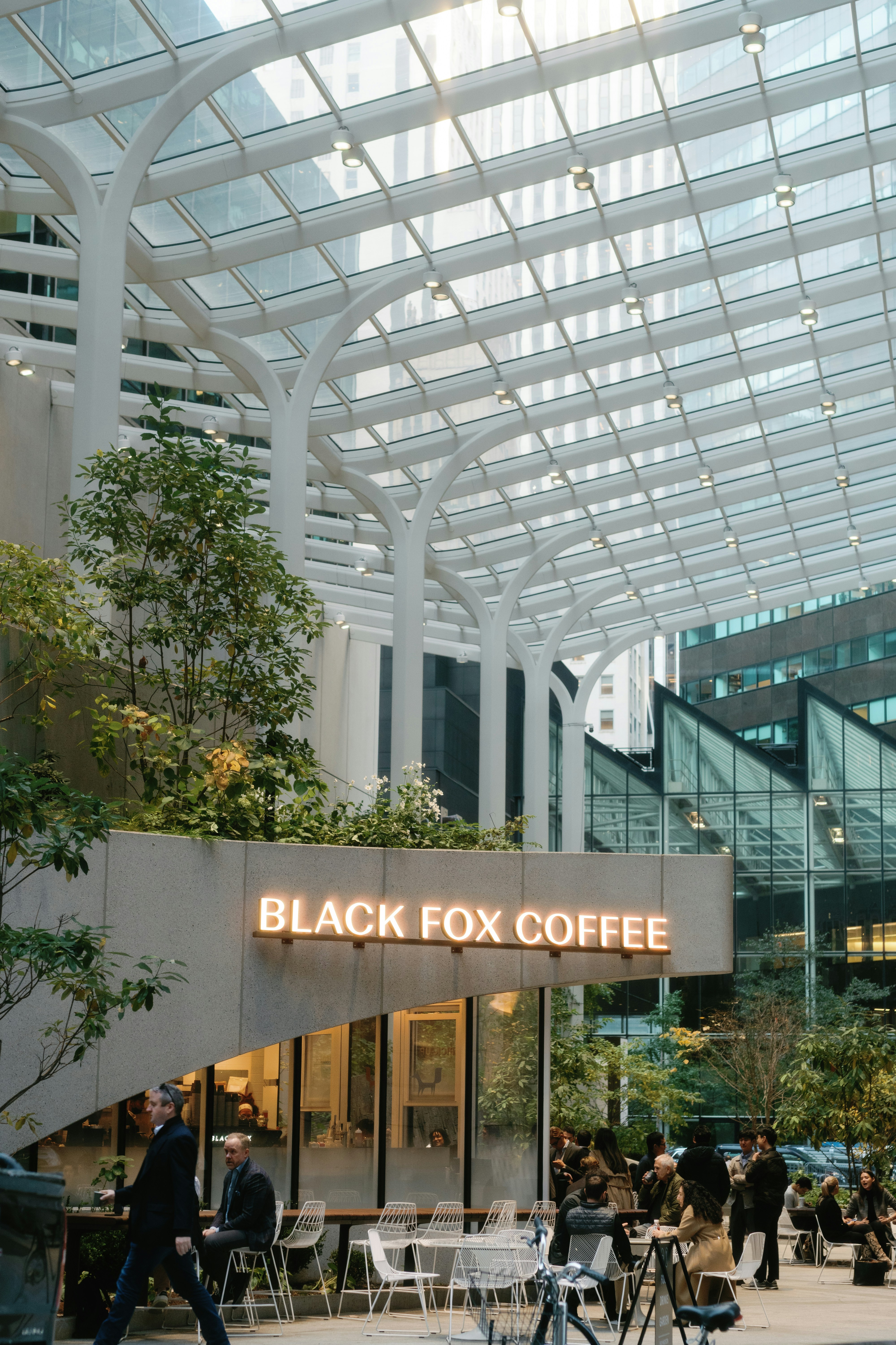 Black Fox Pictures | Download Free Images on Unsplash