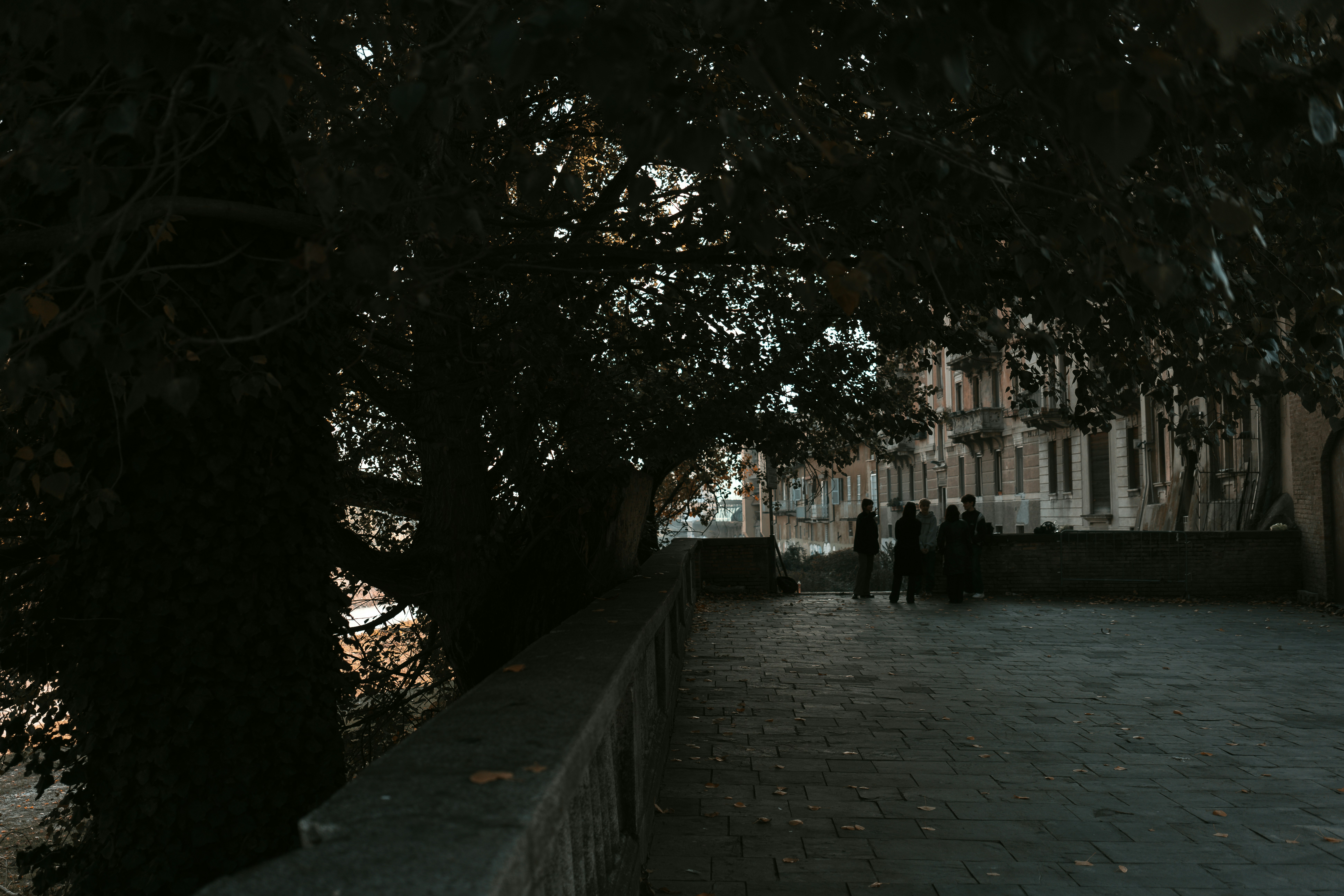 Photo by Pauline Iakovleva with Sony Alpha 7R II