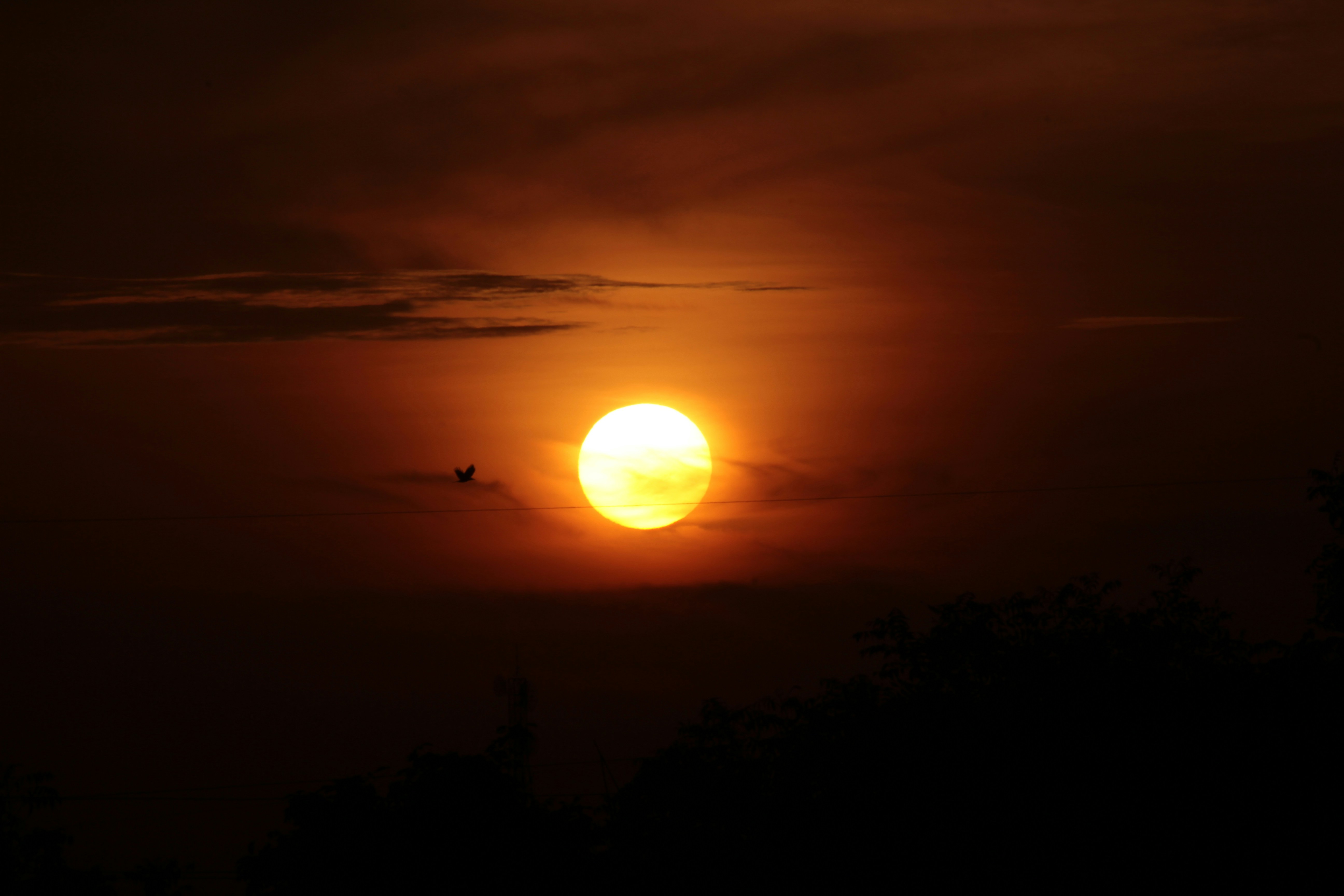 The sun is setting in the dark sky photo – Free Sun Image on Unsplash