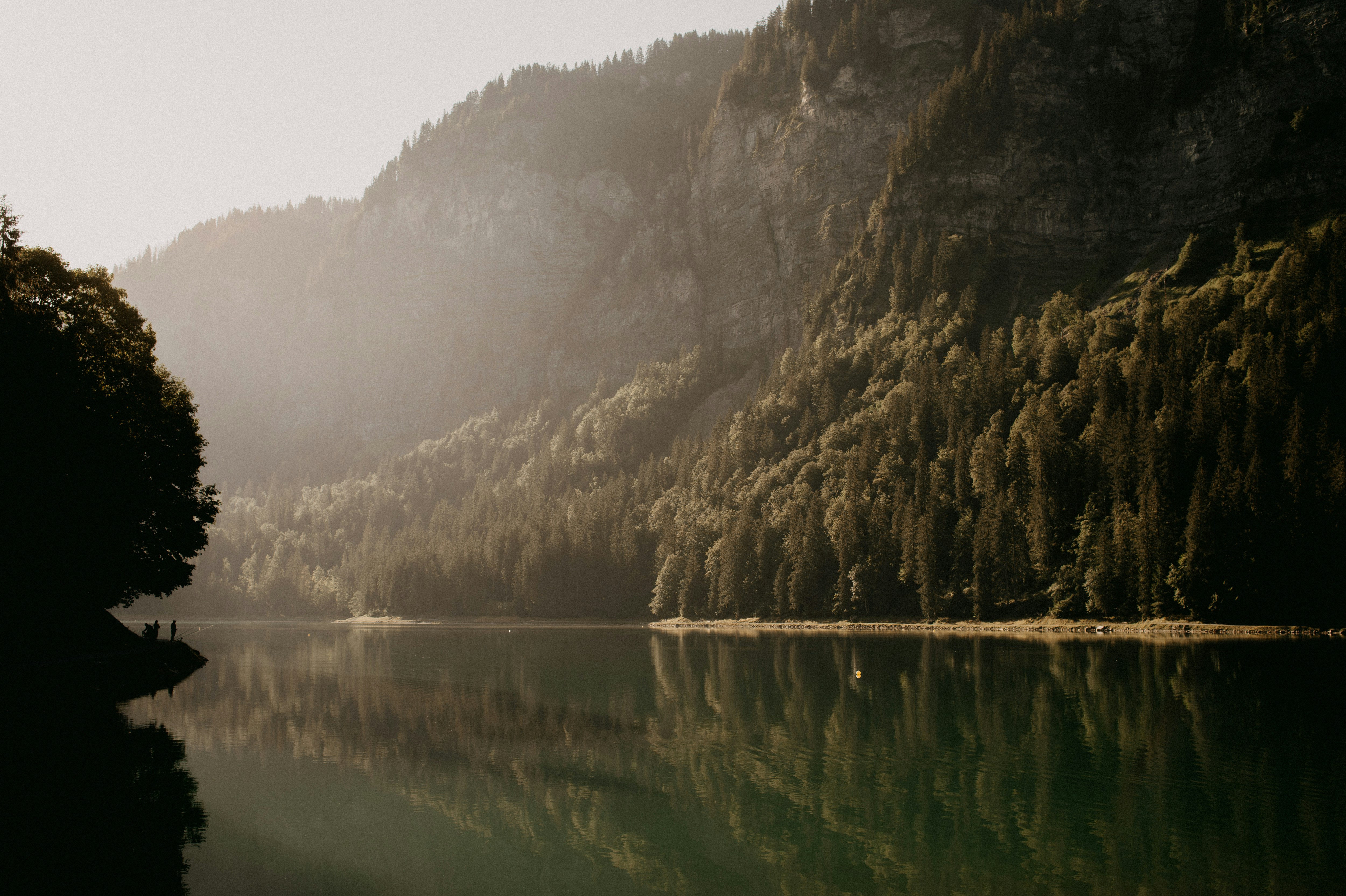 Photo by Annie Spratt with Nikon Z7