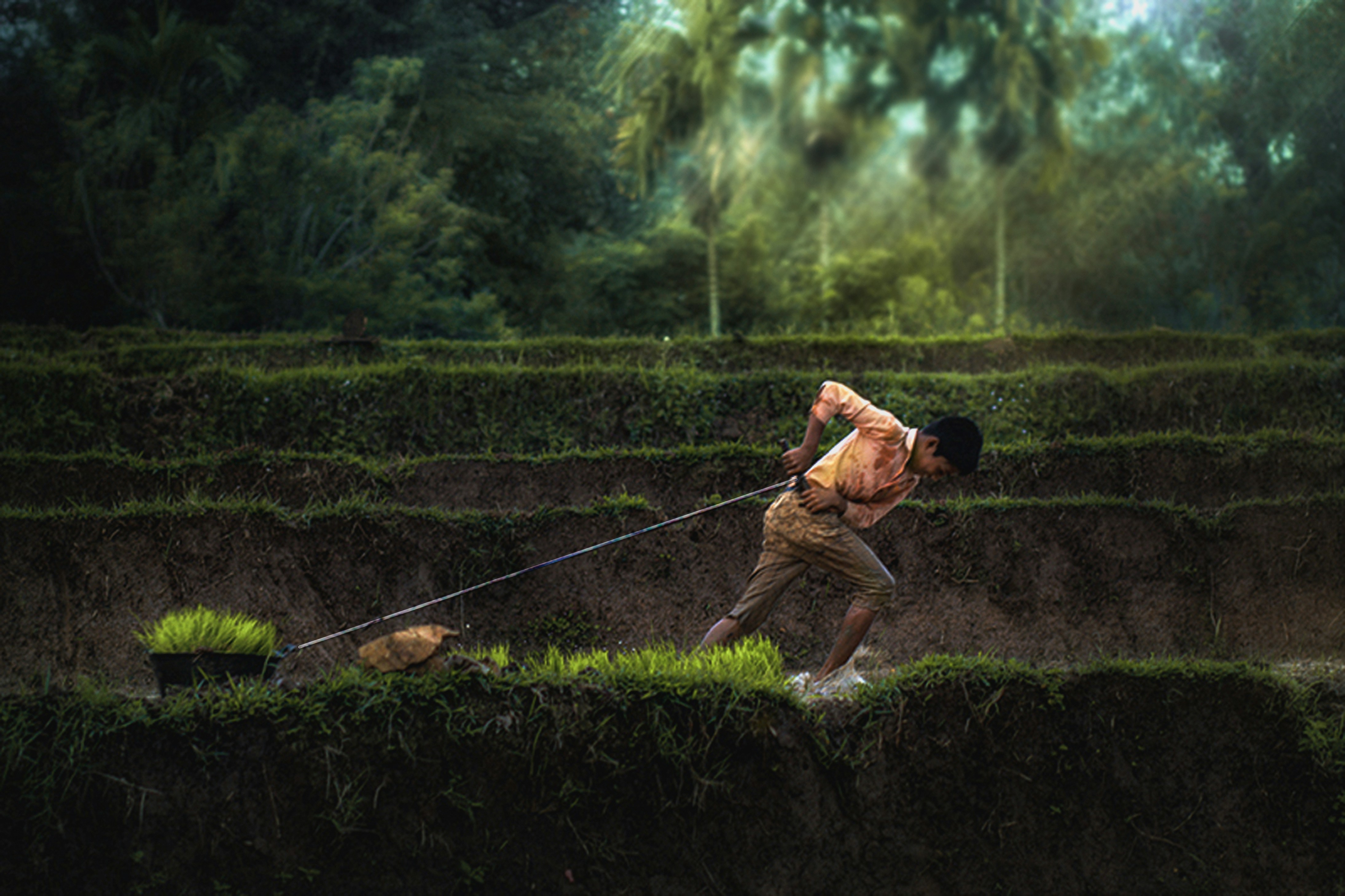 A man pulling a dog on a leash through a maze photo – Free West sumatra ...