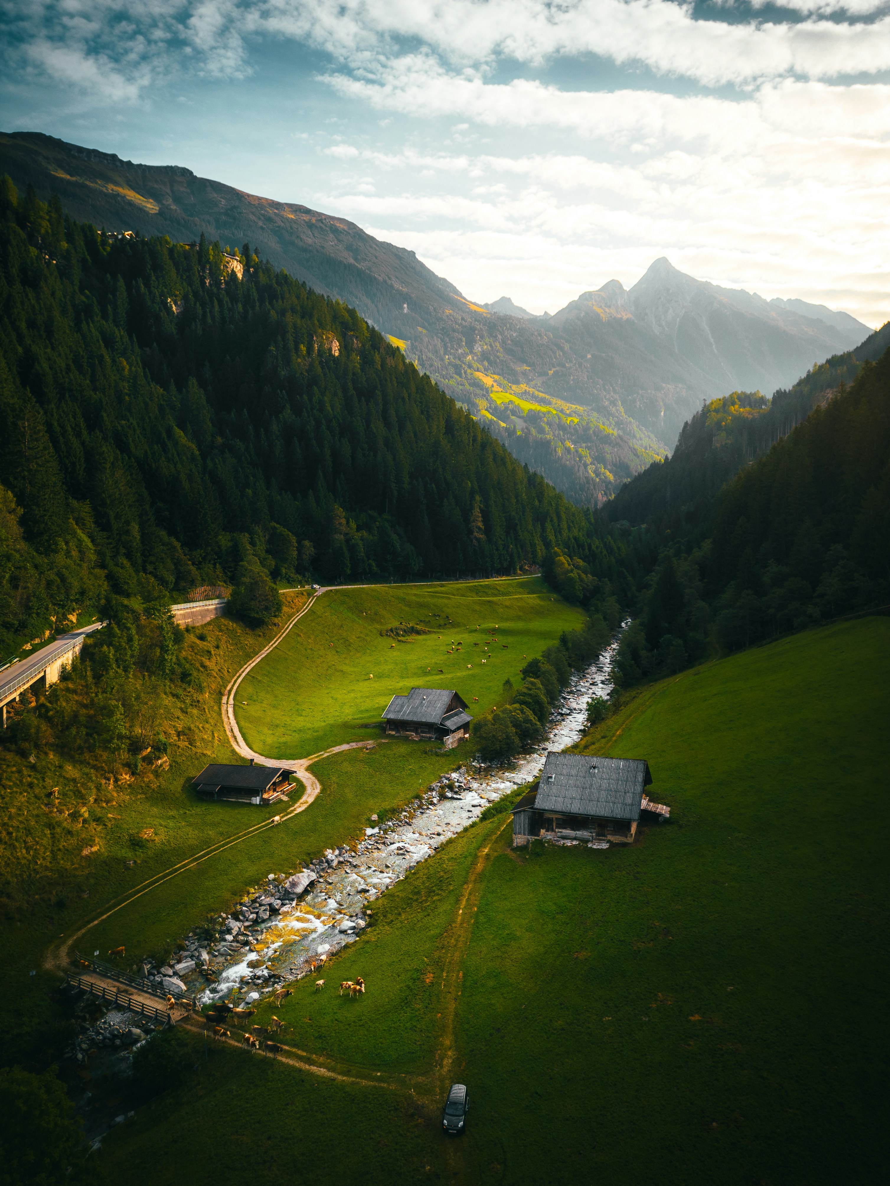 Alpine River Bend: A Quiet Homestead Amid Mountain Pines