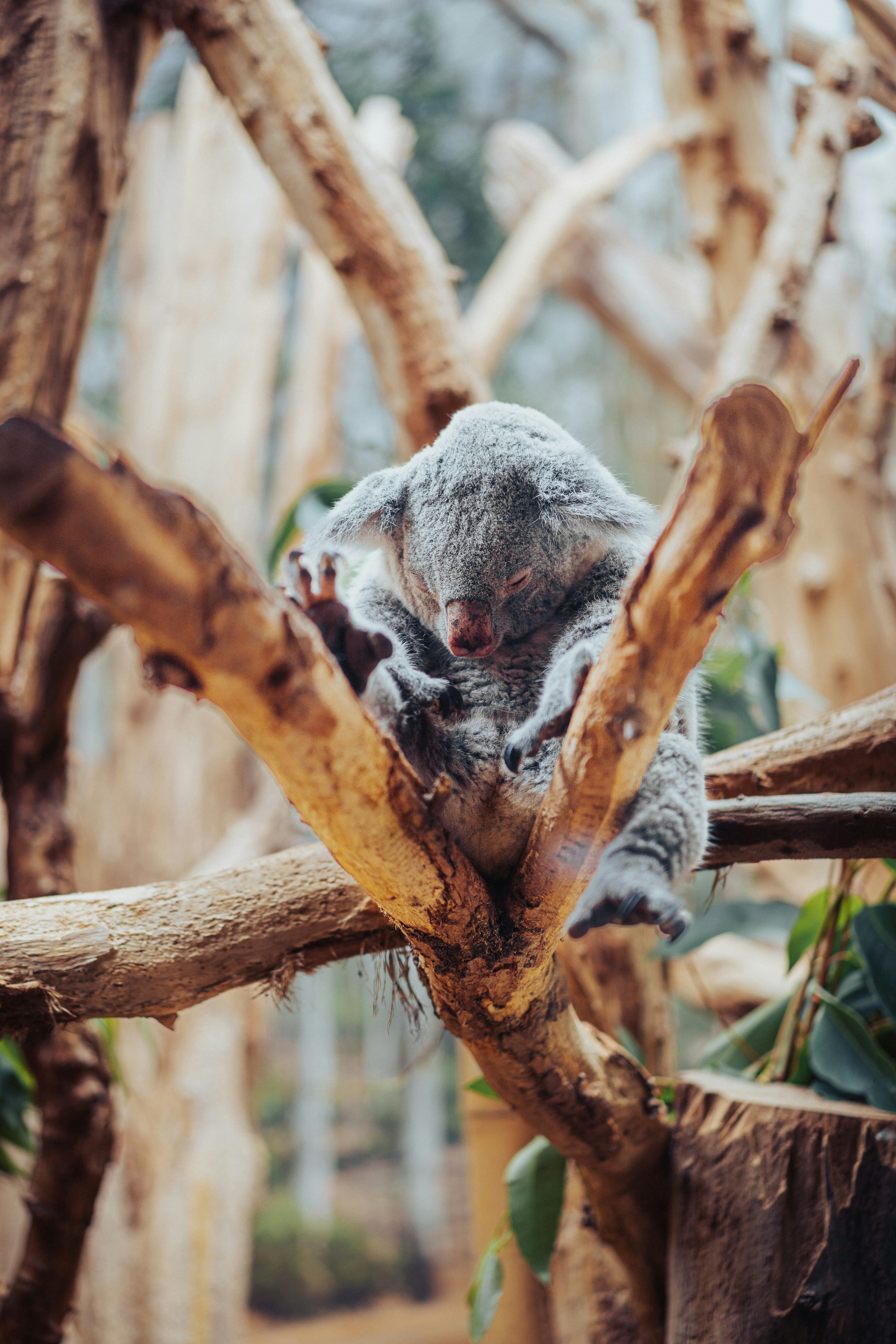 Photo by Petr Urbanek with Sony Alpha 7C