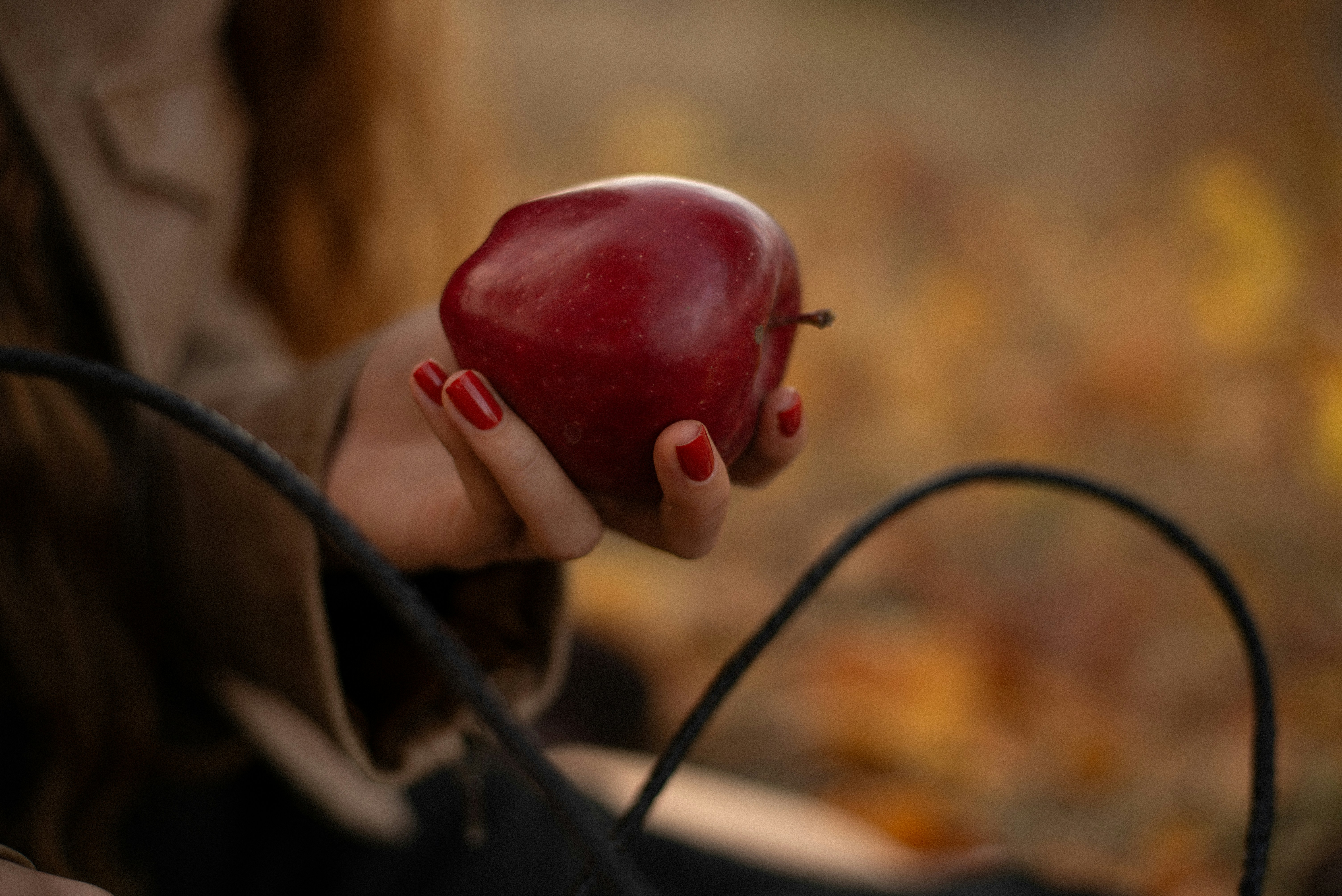 apple,autumn,ukraine
