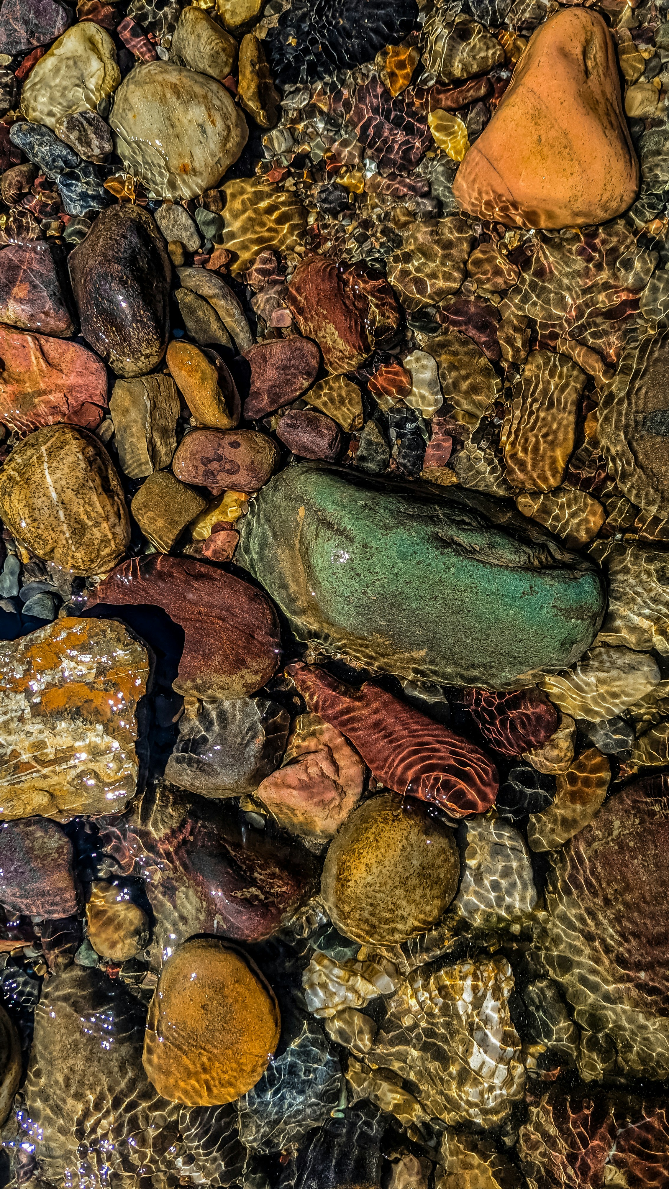 Emerald Pebble Among a Kaleidoscope of Tide-Washed Stones