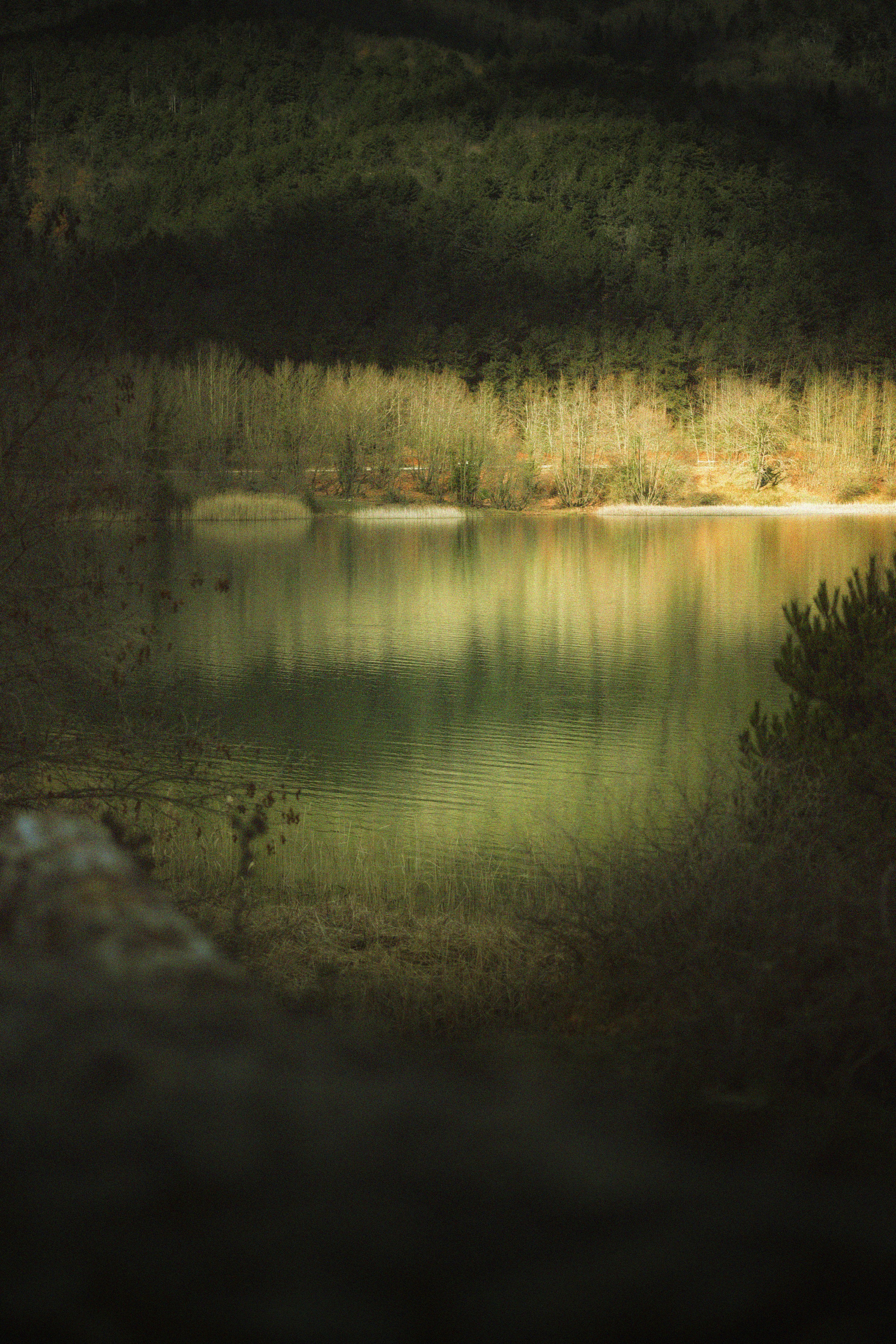 Lamplit Edge: Sun-Kissed Shoreline Beside a Quiet Lake